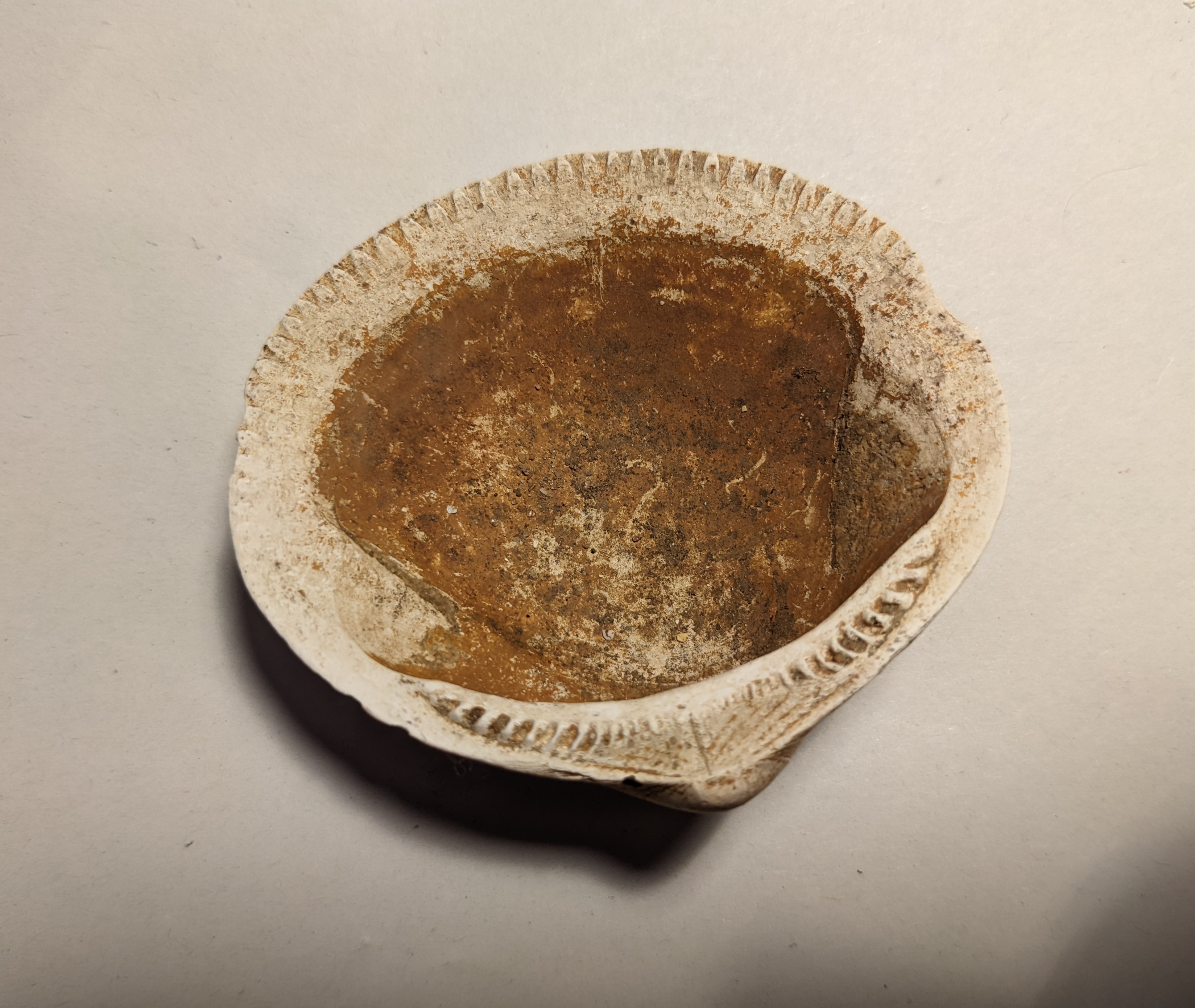 Fossil Hunting in Suffolk, UK - Fossil Hunting Trips - The Fossil Forum