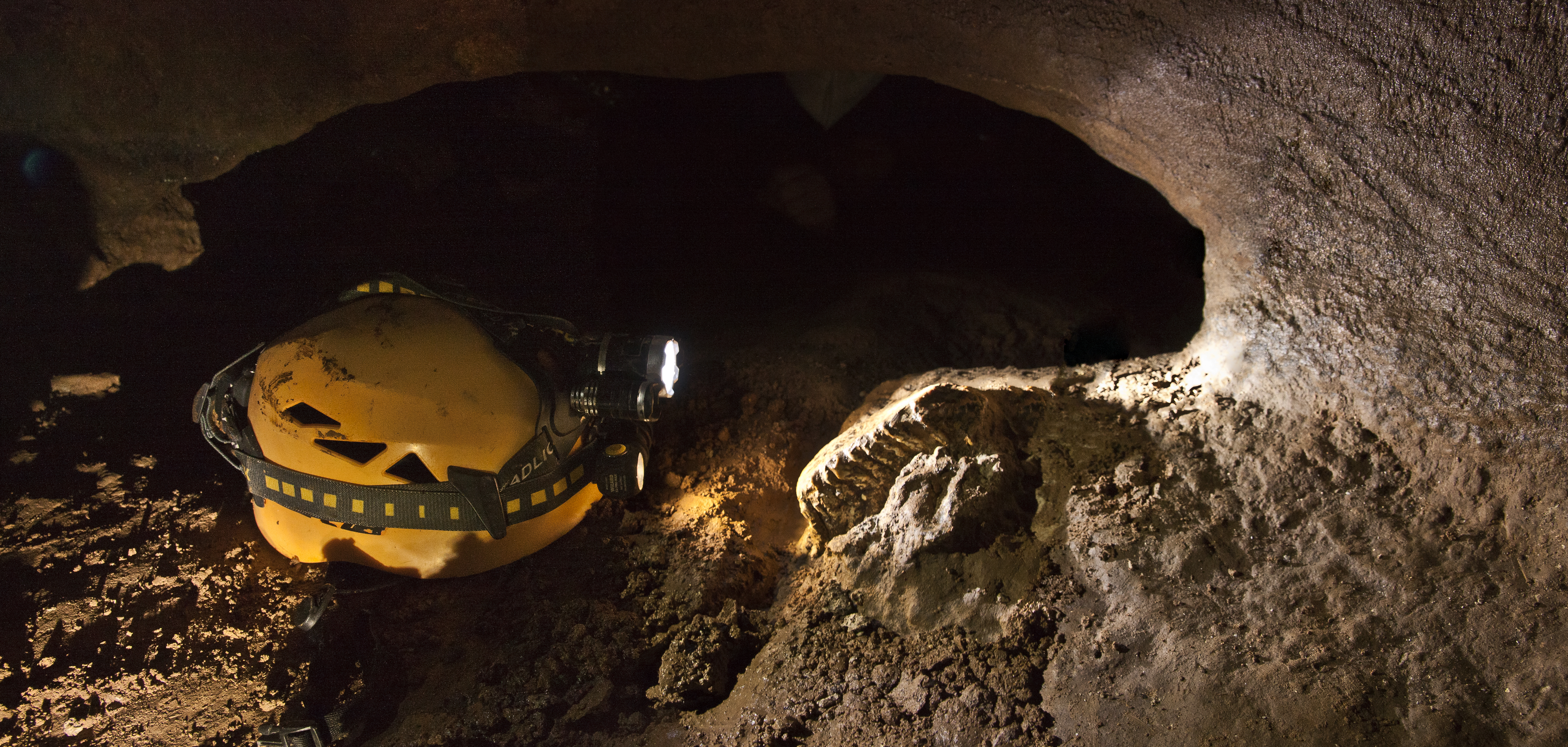 Days in caves - Pleistocene fossils hunting - Southeast Asia - Fossil ...