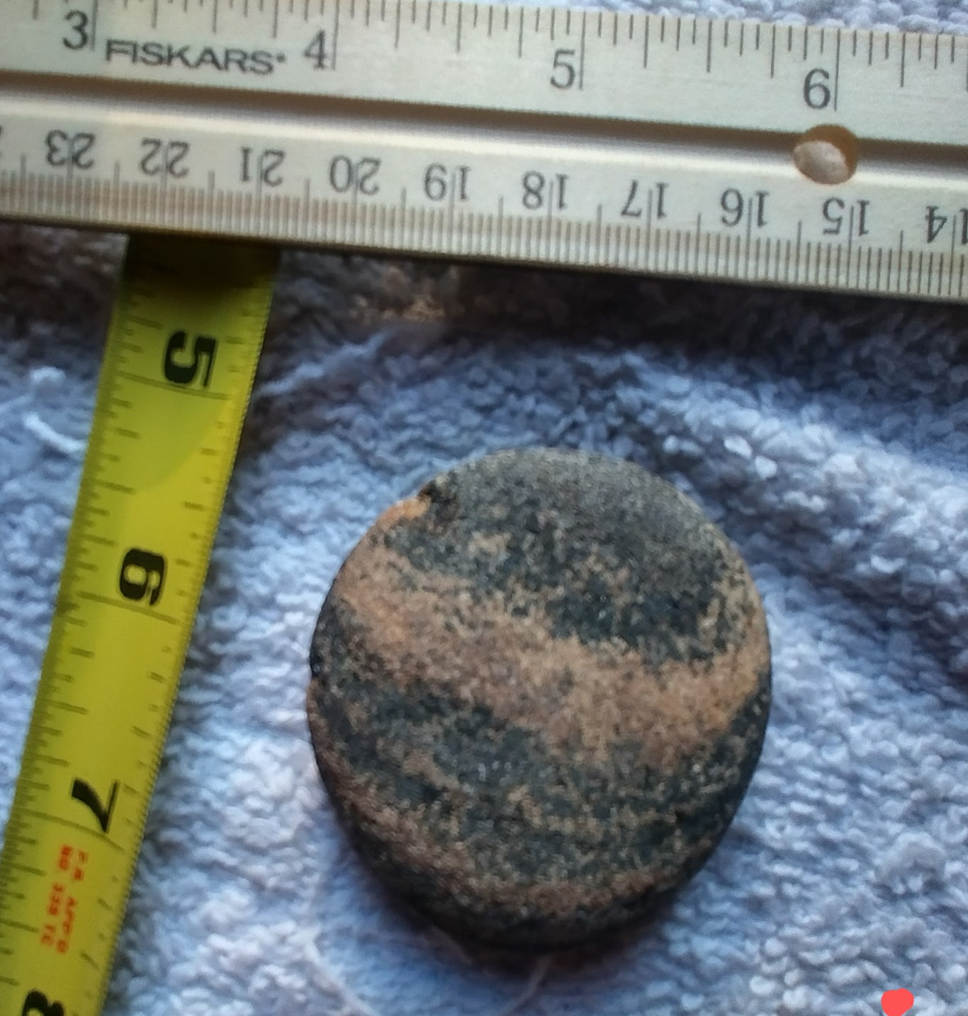 Looks Like A Petrified Clam - Fossil ID - The Fossil Forum