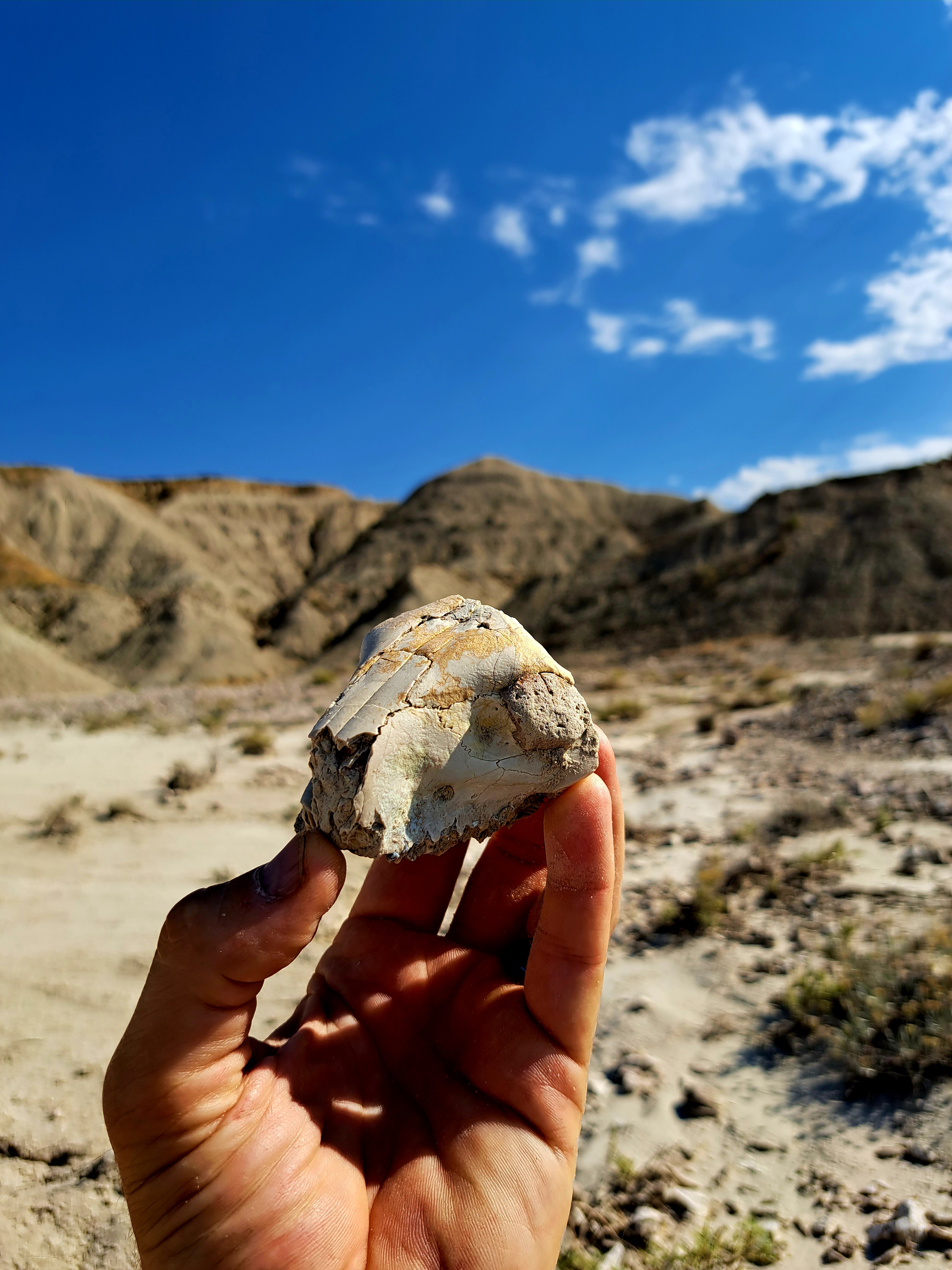 Nebraska Oligocene Badlands Blowout - Fossil Hunting Trips - The Fossil ...