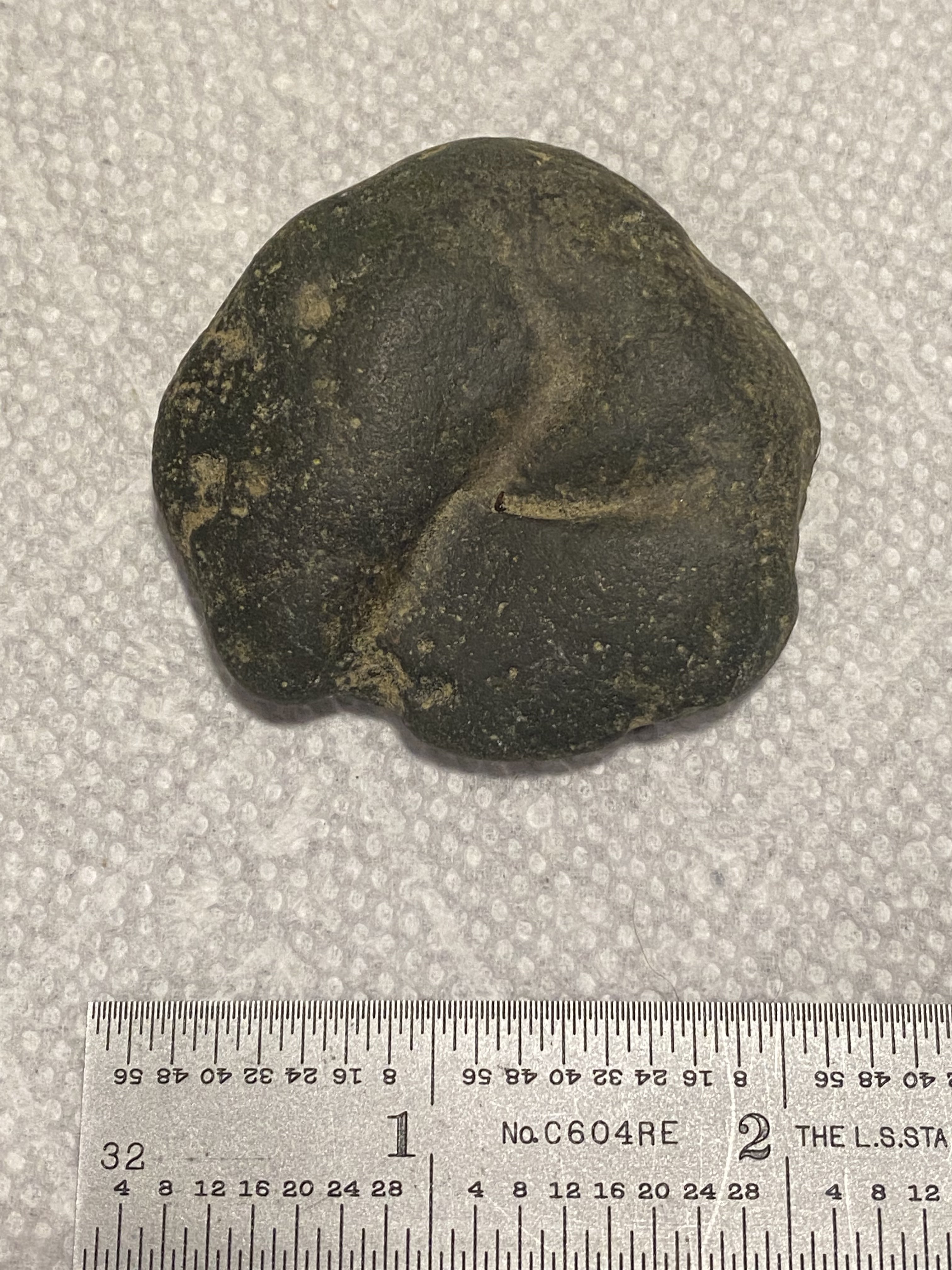 How Can I Tell If It Is Coprolite? - Fossil ID - The Fossil Forum