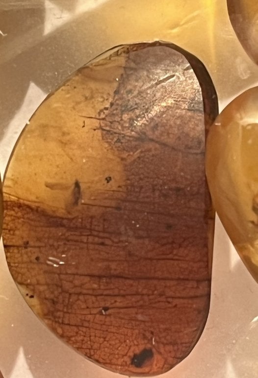 Amber with cracks - Questions & Answers - The Fossil Forum