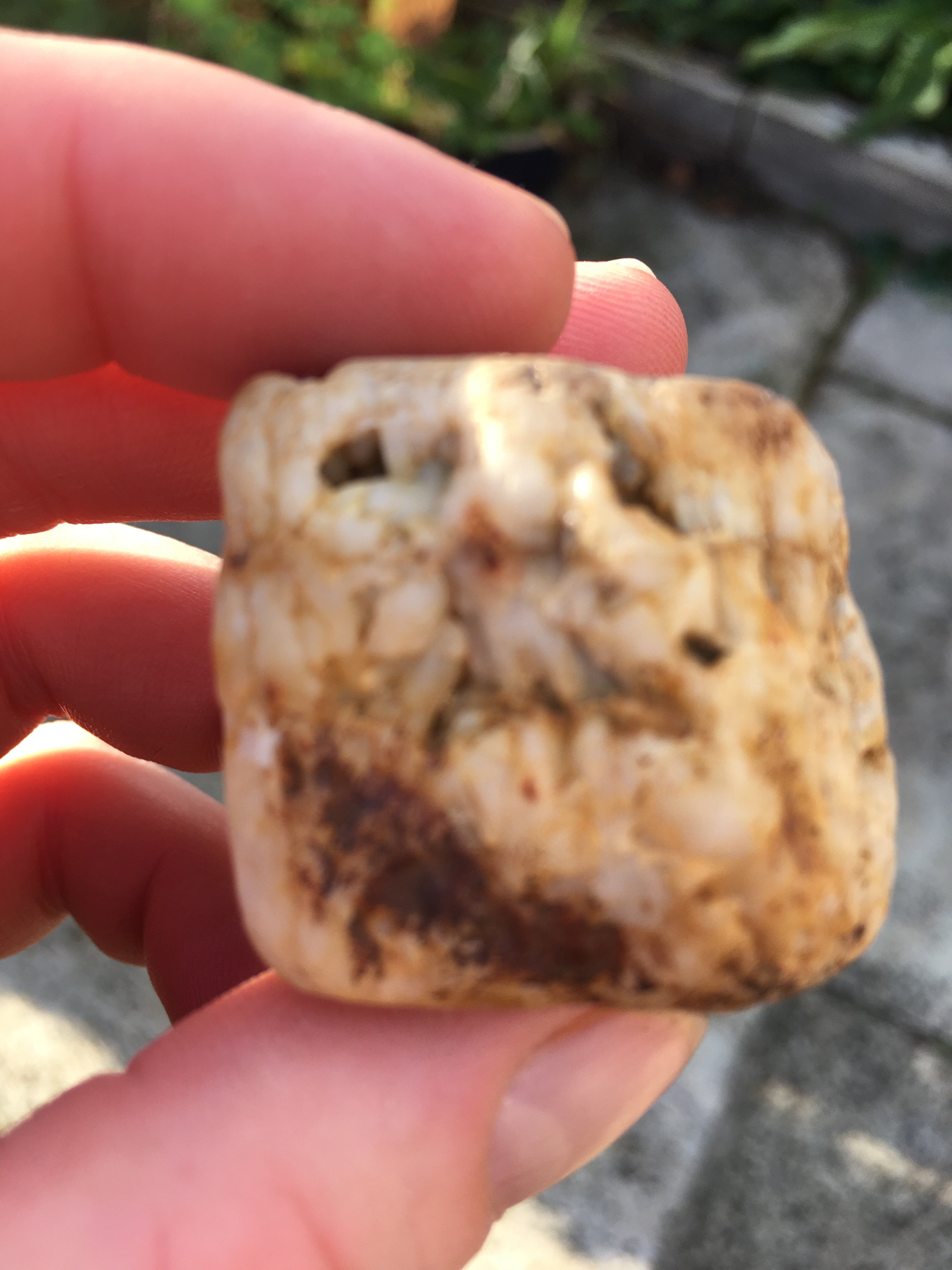 Fossil/rock find identification (vertebra?) - Fossil ID - The Fossil Forum