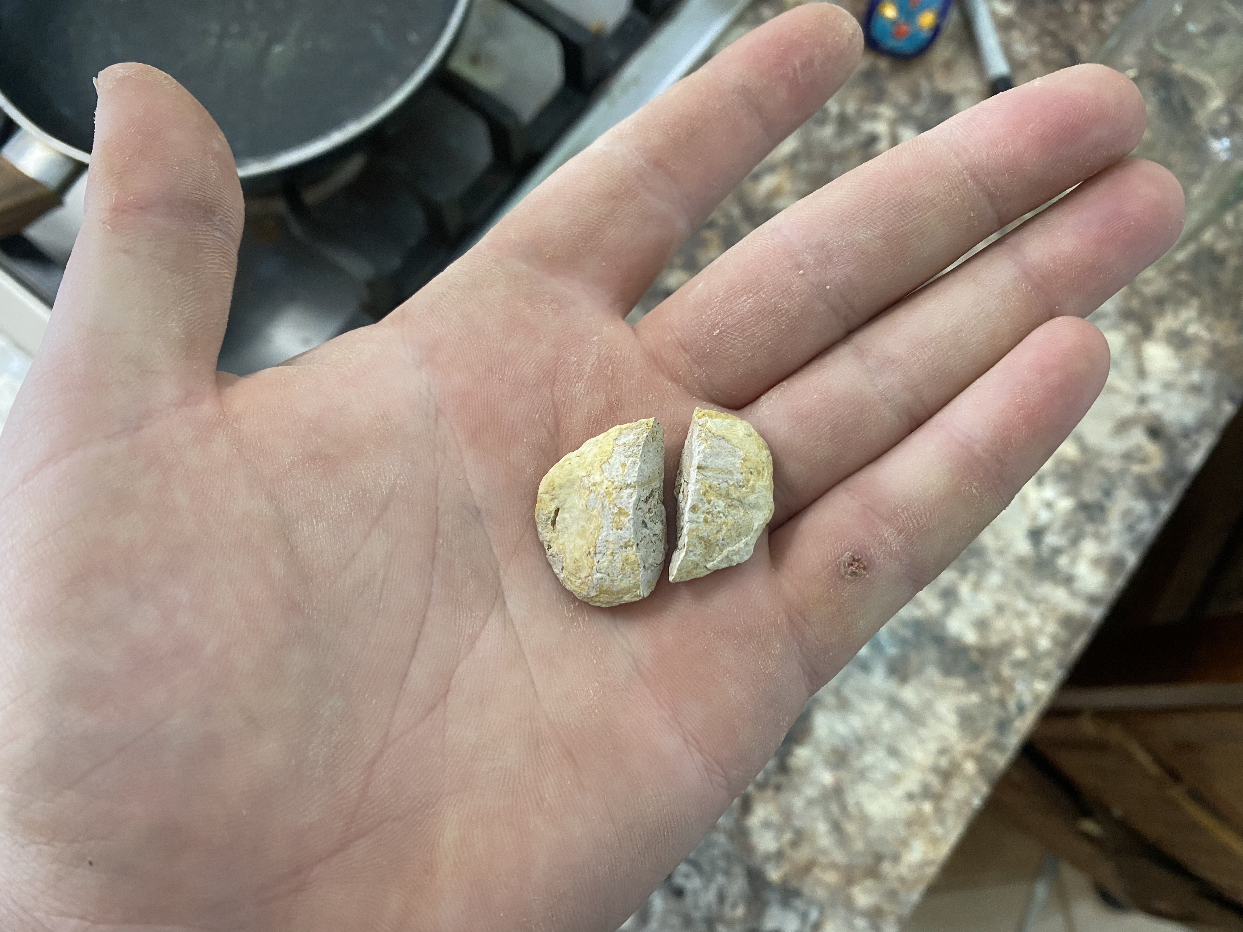 Coprolite identification - Fossil ID - The Fossil Forum