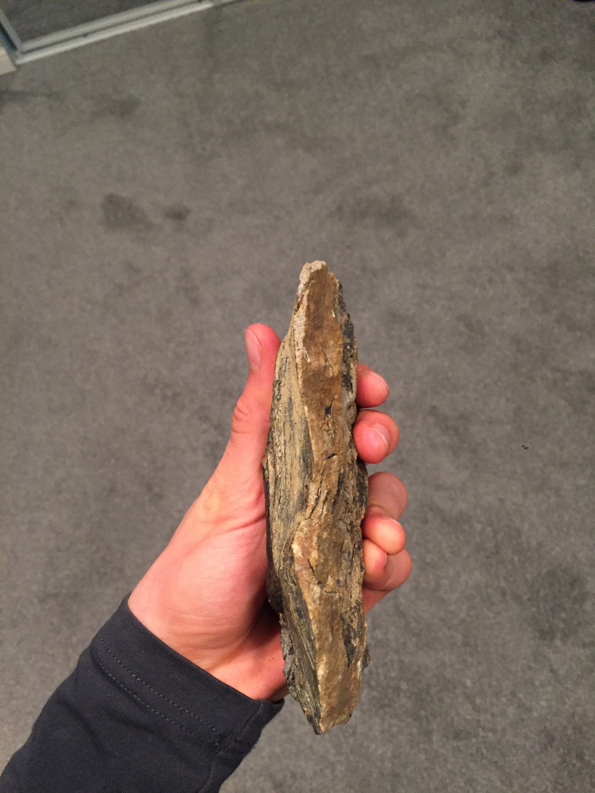 Fossil or just a geologic anomaly? - Fossil ID - The Fossil Forum