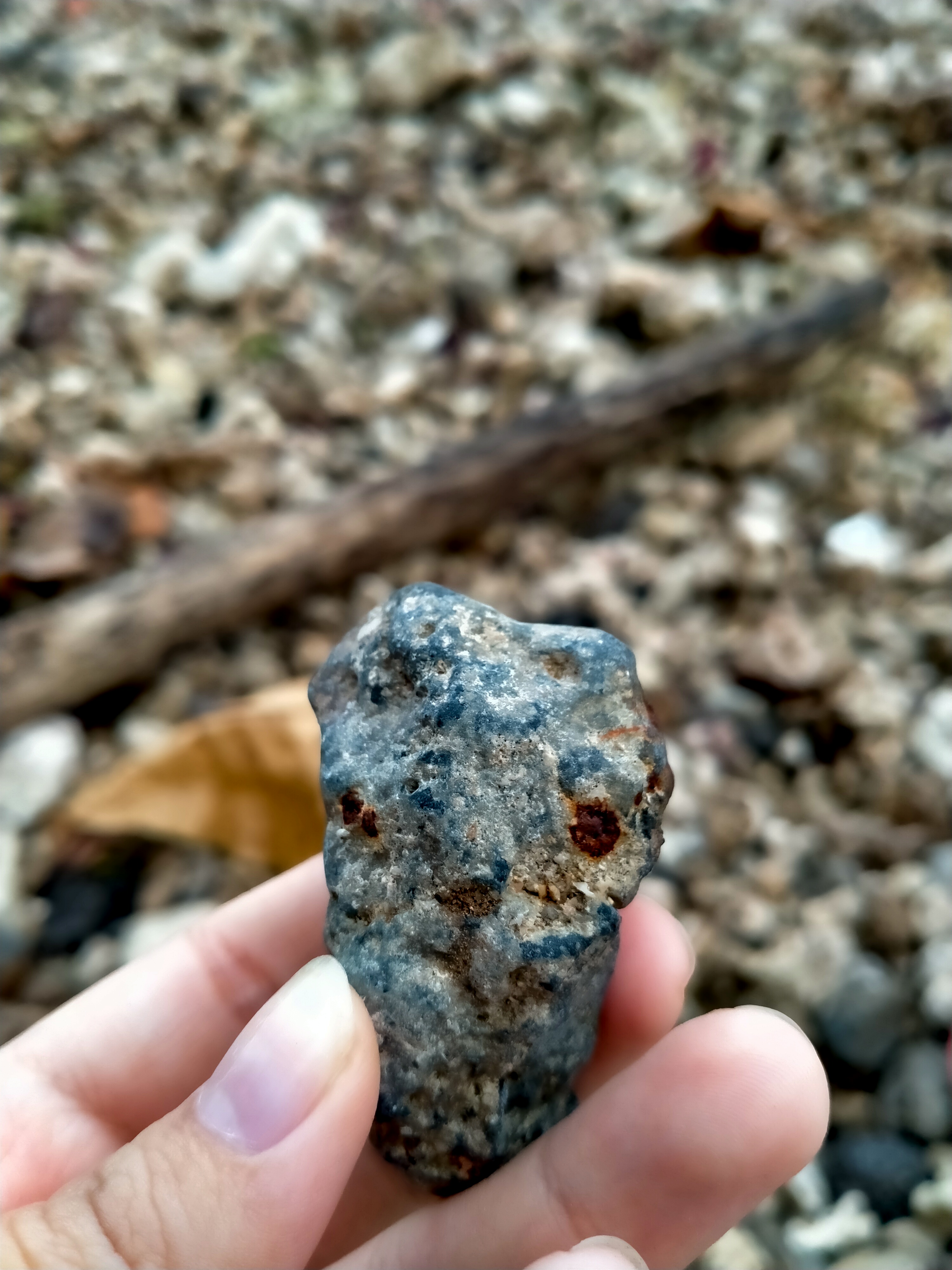 What causes the brown "rust" on the rock? - Rocks & Minerals - The ...
