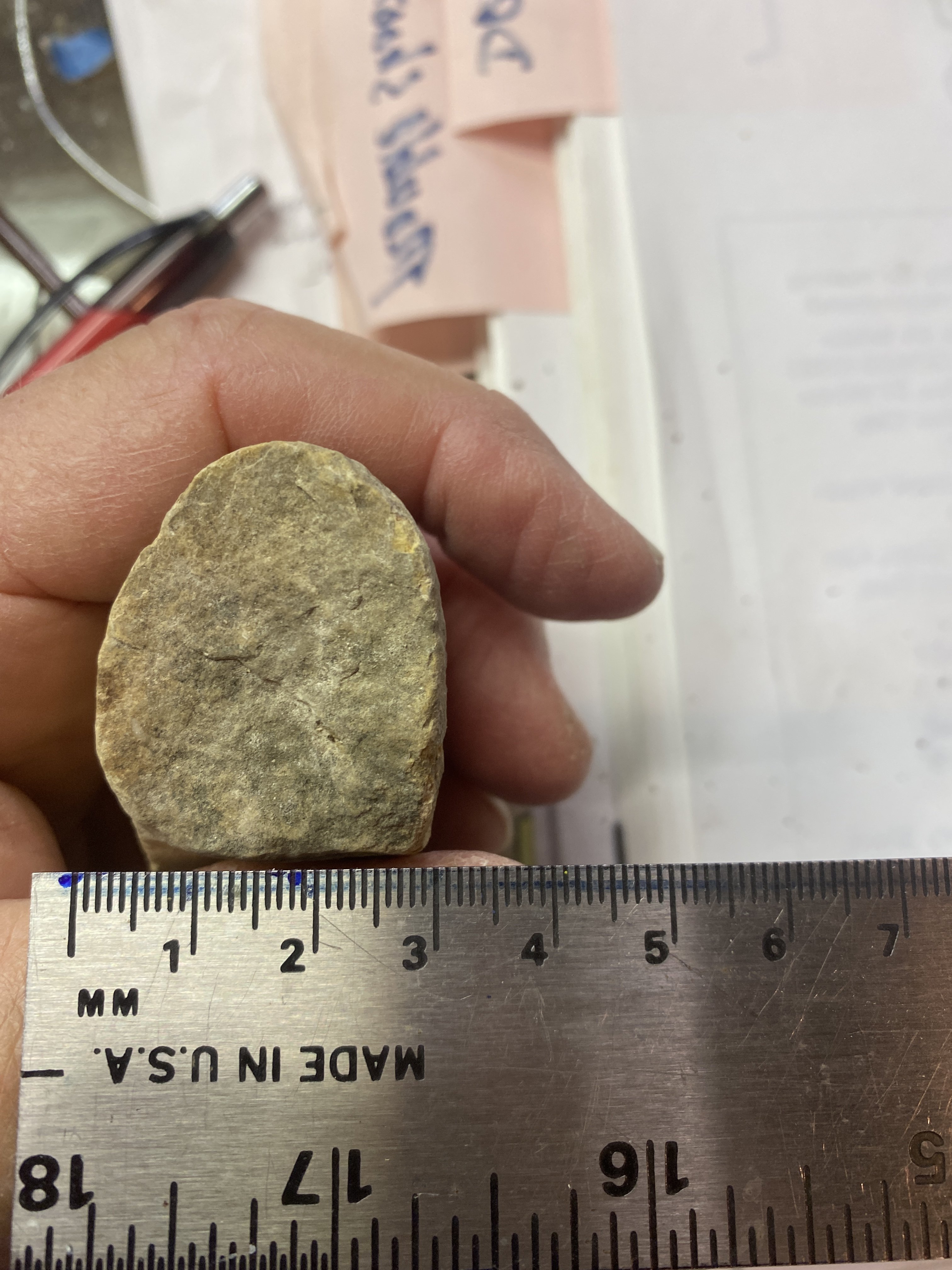 From the Kiamichi Formation Cretaceous… north Texas Part three - Fossil ...