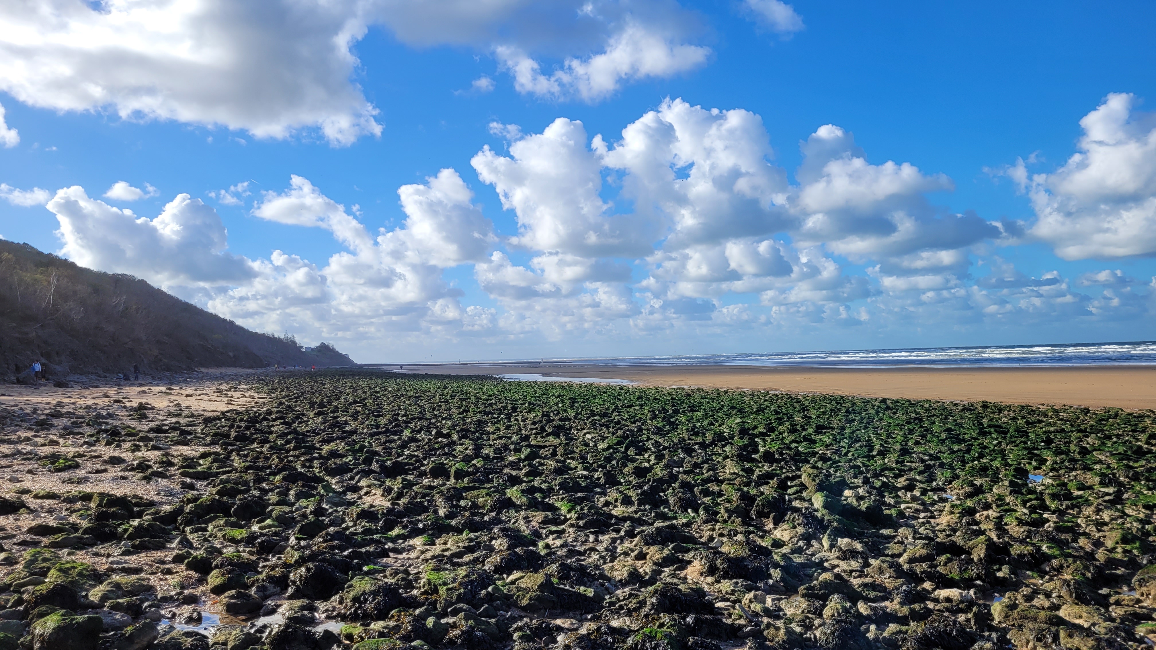 Fossil hunting weekend to Falaises des Vaches Noires (Jurassic of ...