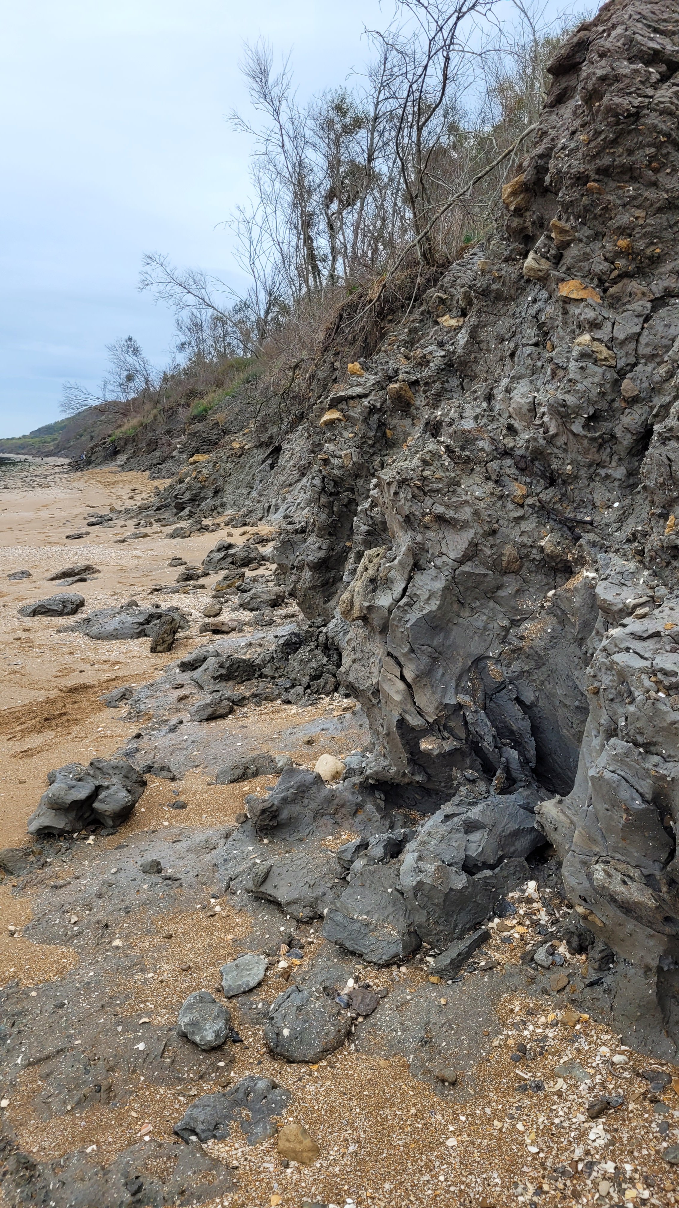 Fossil hunting weekend to Falaises des Vaches Noires (Jurassic of ...