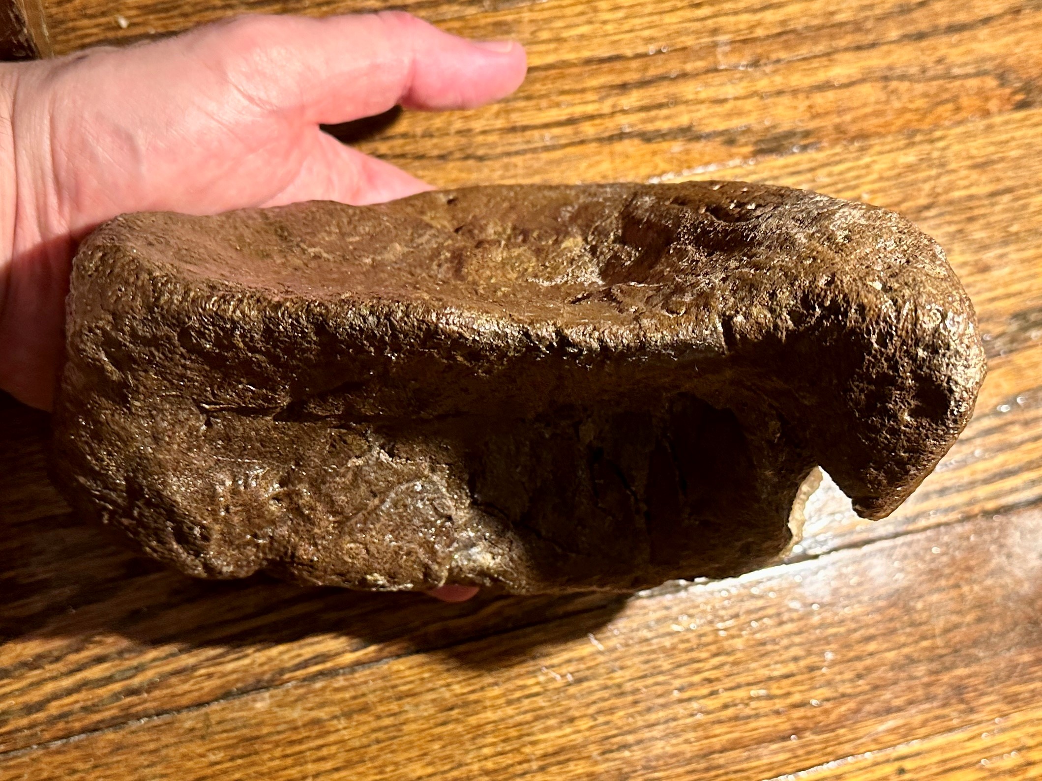 Ankylosaurs osteoderm - Fossil ID - The Fossil Forum