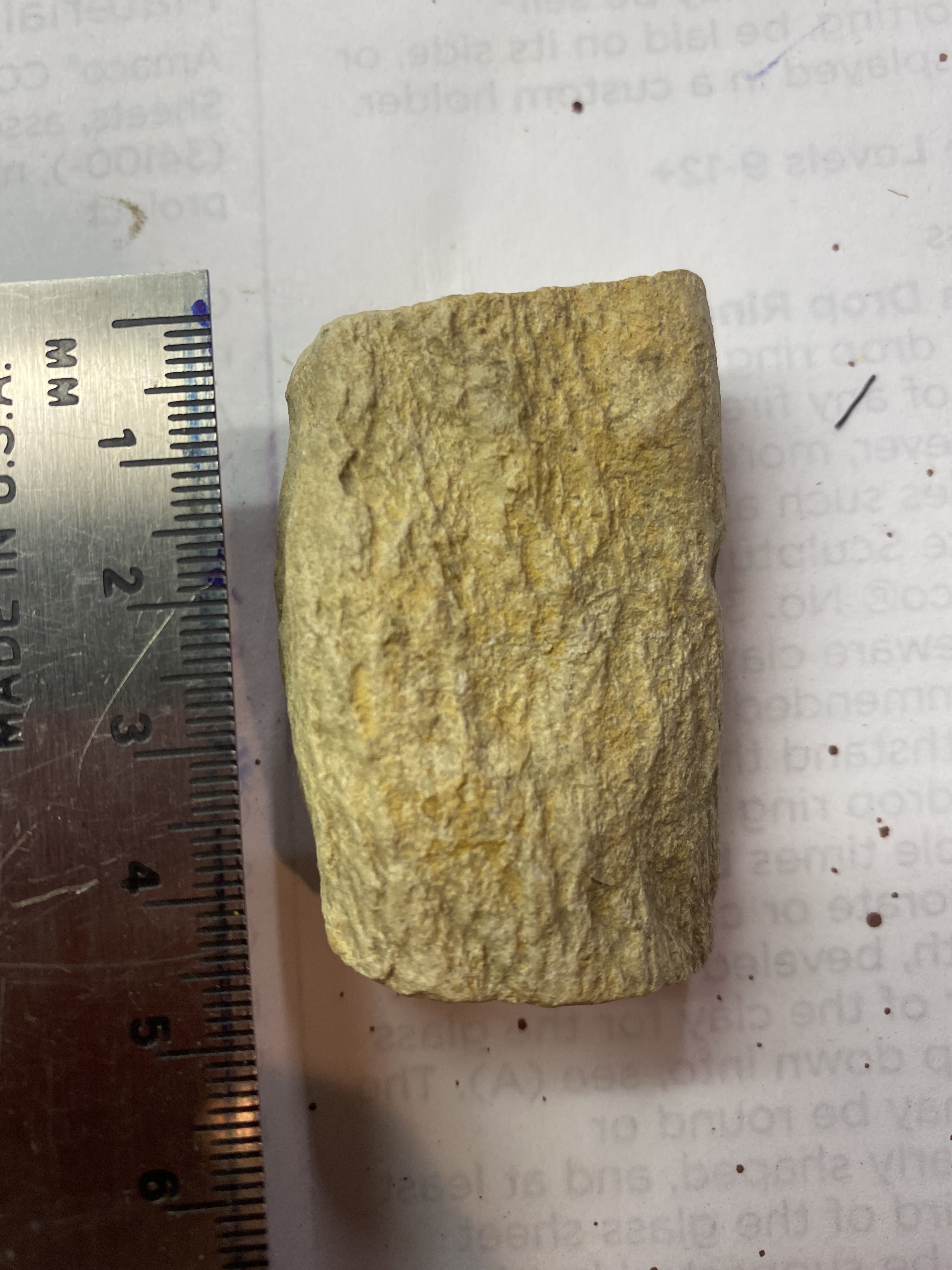 From the Kiamichi Formation Cretaceous… north Texas Part two - Fossil ...
