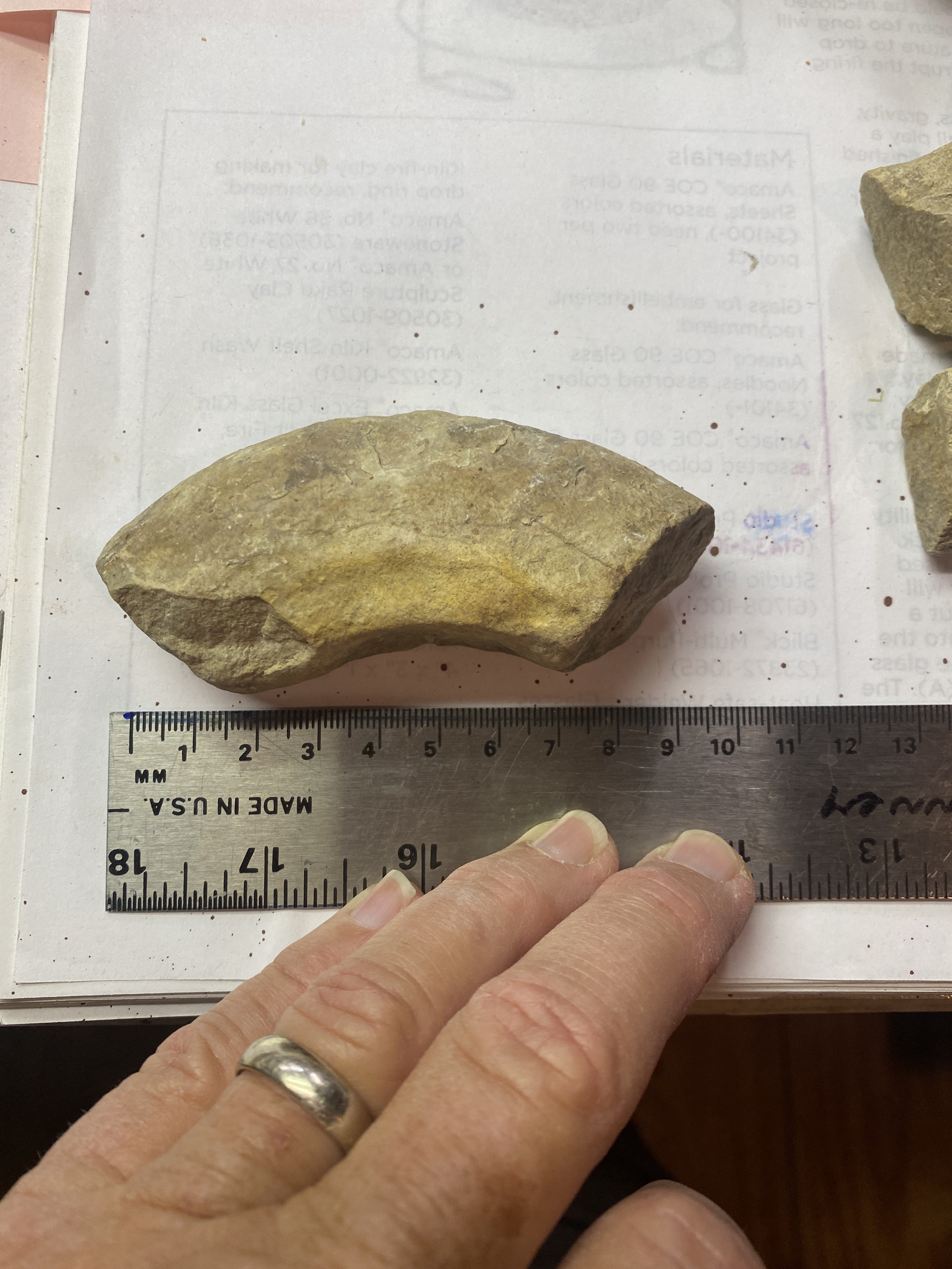 From the Kiamichi Formation Cretaceous… north Texas Part three - Fossil ...