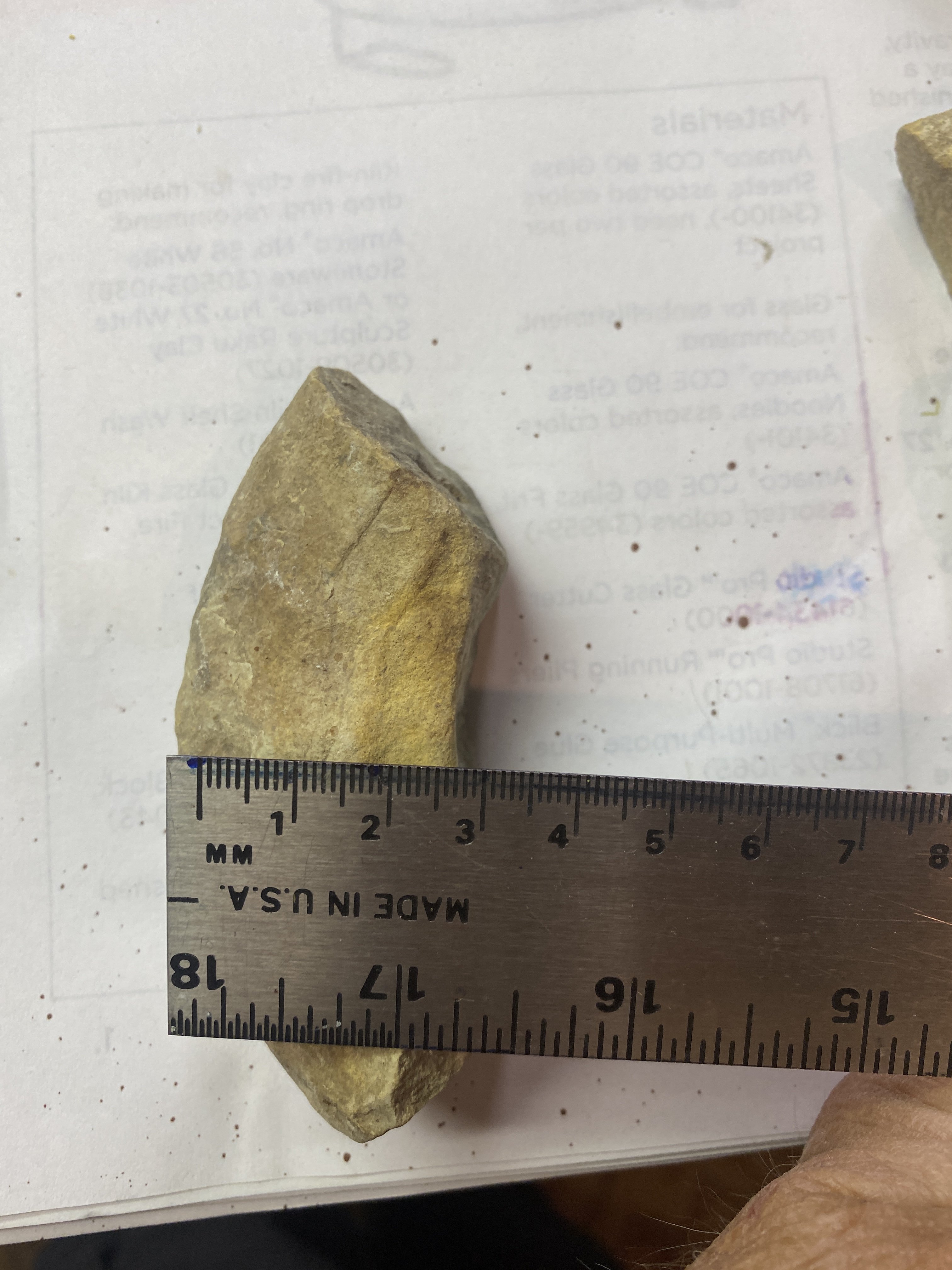 From the Kiamichi Formation Cretaceous… north Texas Part three - Fossil ...