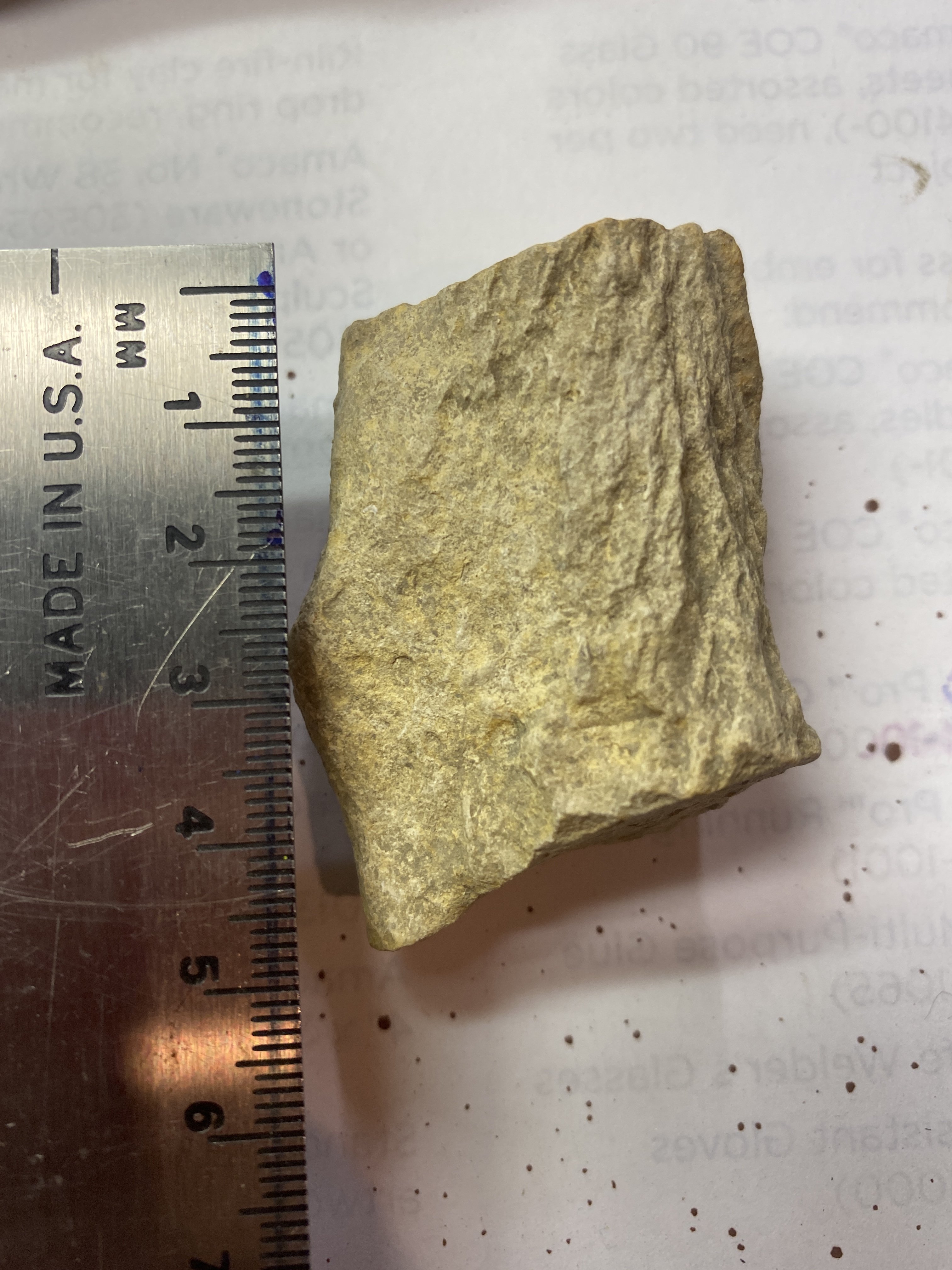 From the Kiamichi Formation Cretaceous… north Texas Part two - Fossil ...