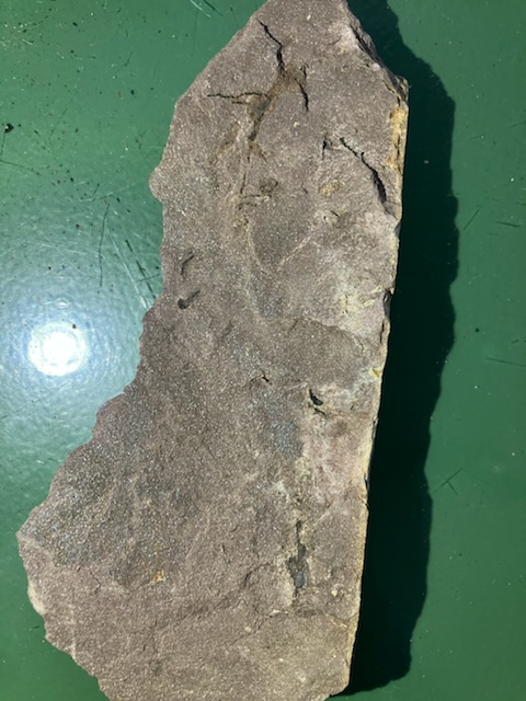 Maryland Triassic Trace Fossils - Fossil ID - The Fossil Forum
