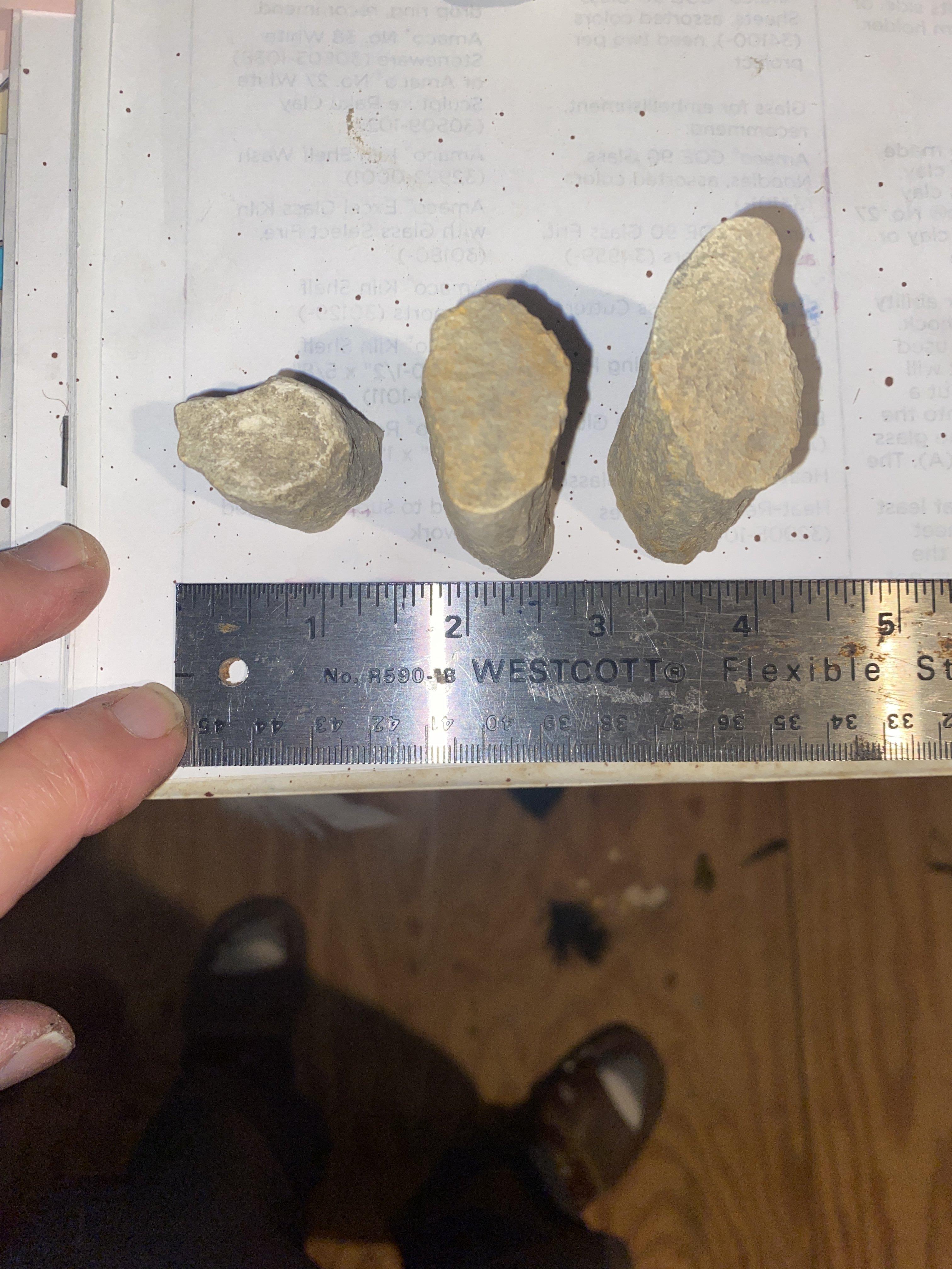 From the Kiamichi Formation Cretaceous… north Texas Part two - Fossil ...