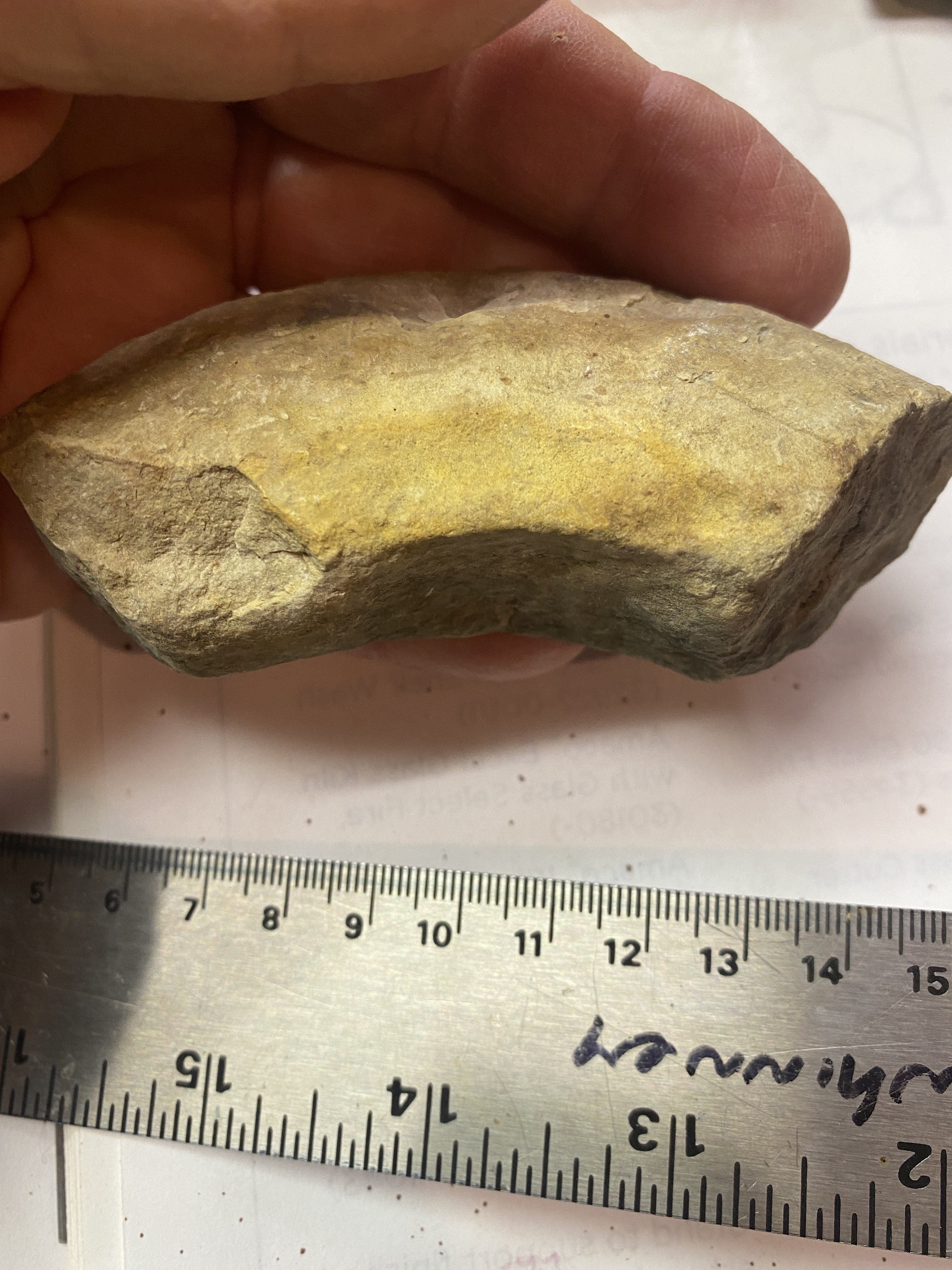 From the Kiamichi Formation Cretaceous… north Texas Part three - Fossil ...