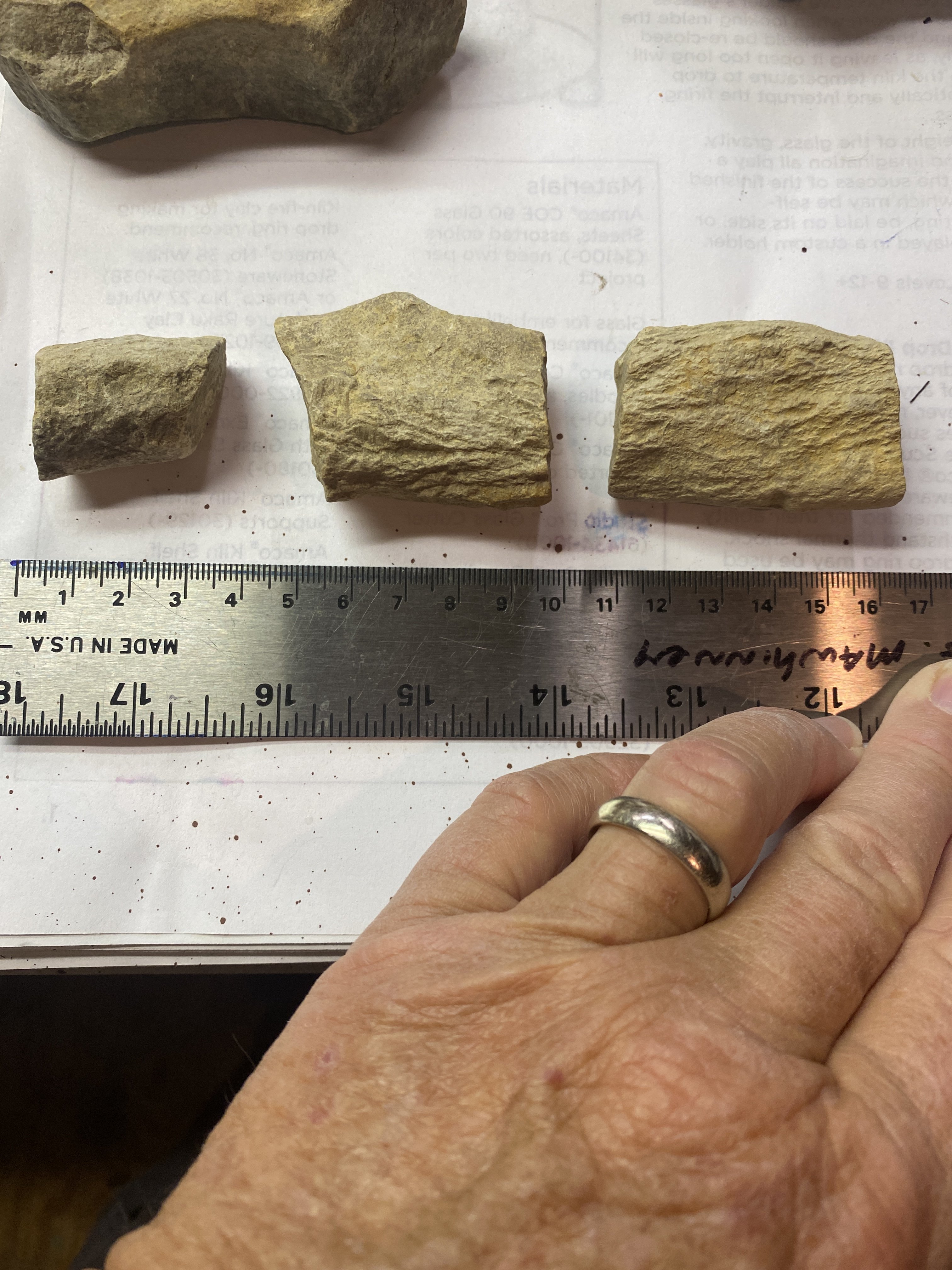 From the Kiamichi Formation Cretaceous… north Texas Part two - Fossil ...
