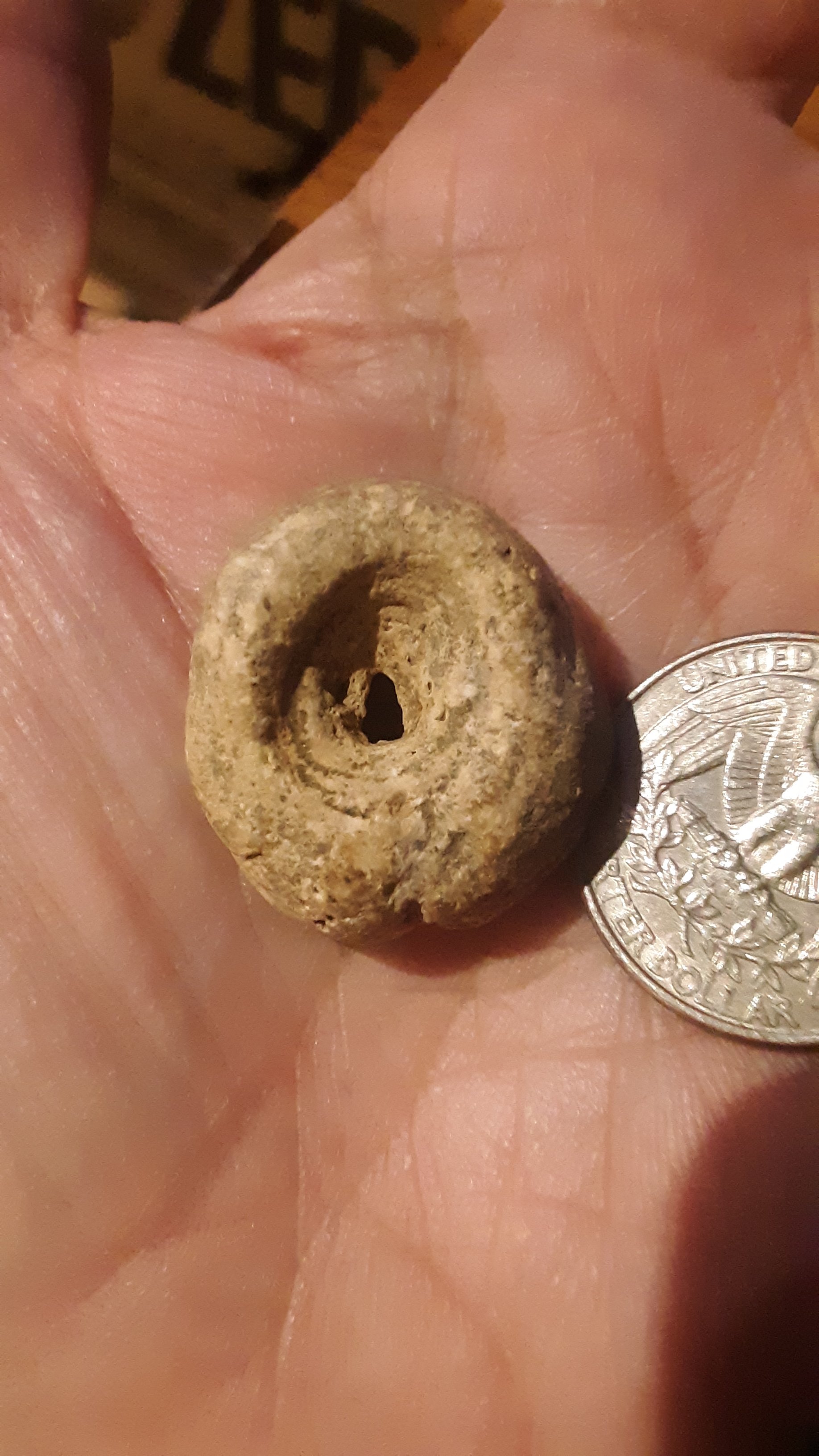 More Gravel pile finds from the Brazos - Fossil ID - The Fossil Forum