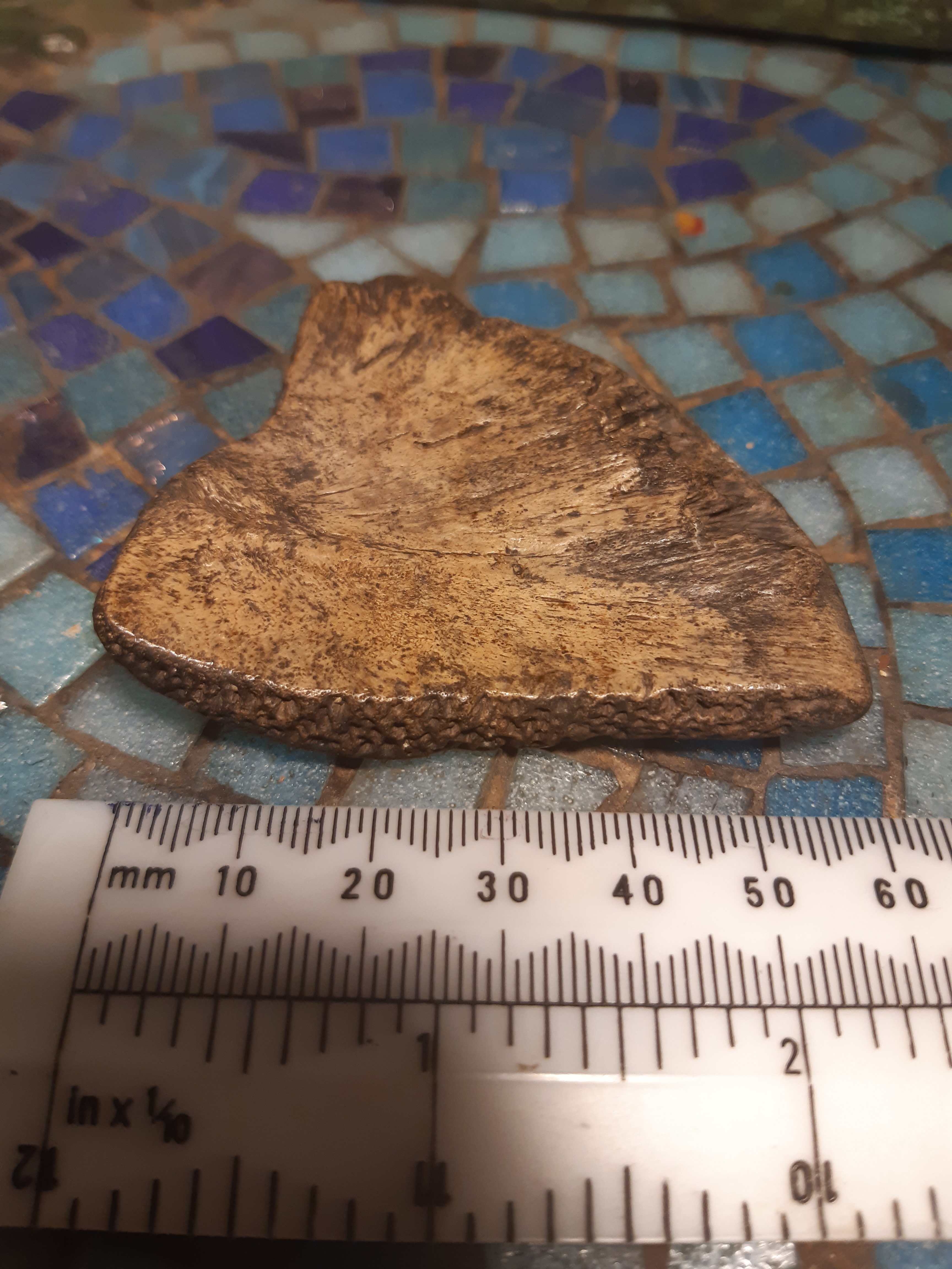 More fossilised turtle shell?? - Fossil ID - The Fossil Forum
