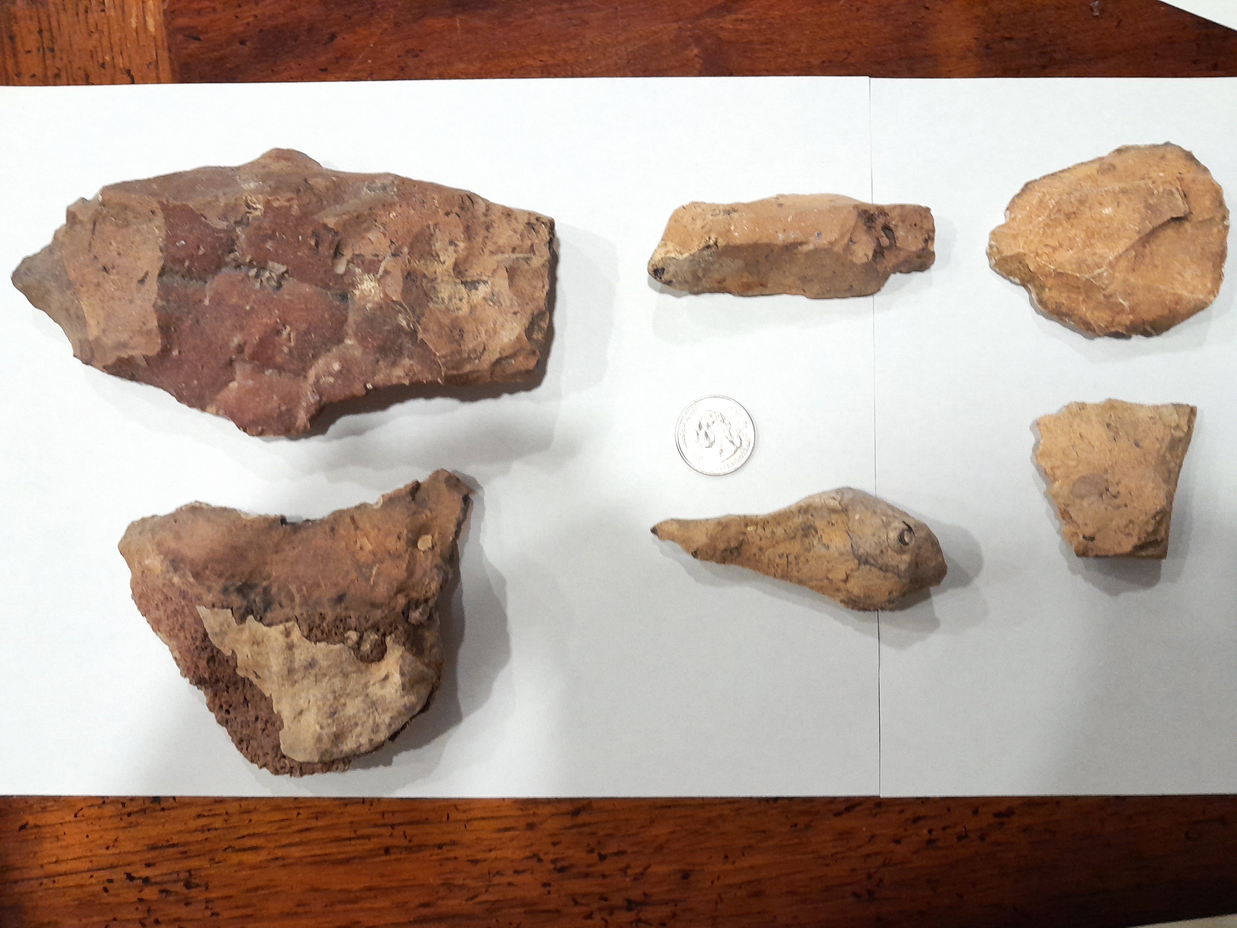 DeBeque\Wasatch Formation Artifact Fossil ID - Fossil ID - The Fossil Forum