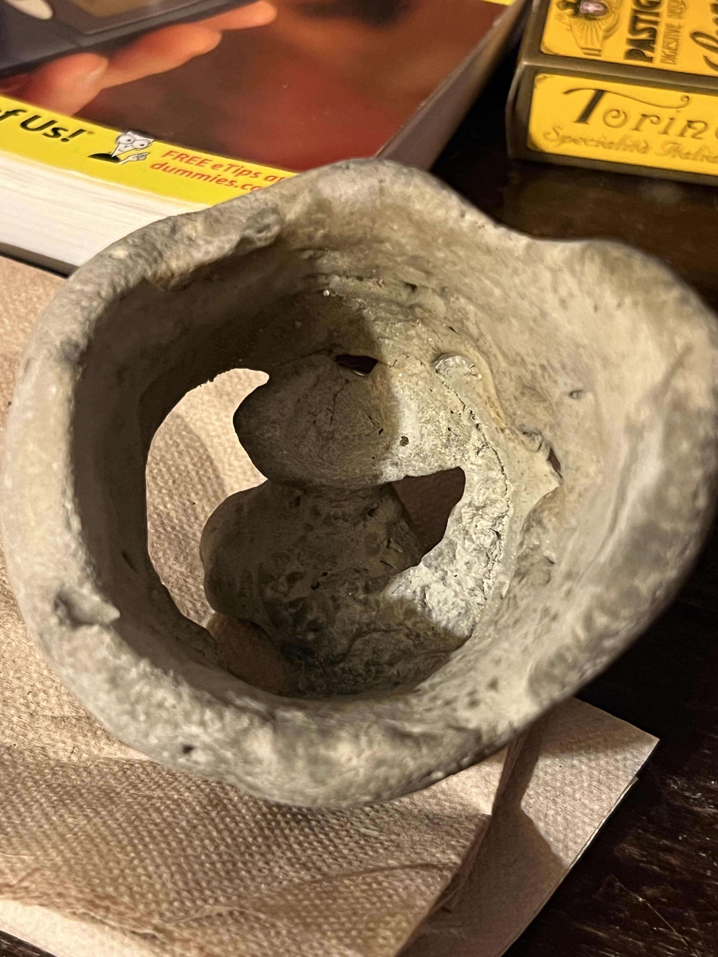 Fossil, pottery, or something else? - Fossil ID - The Fossil Forum