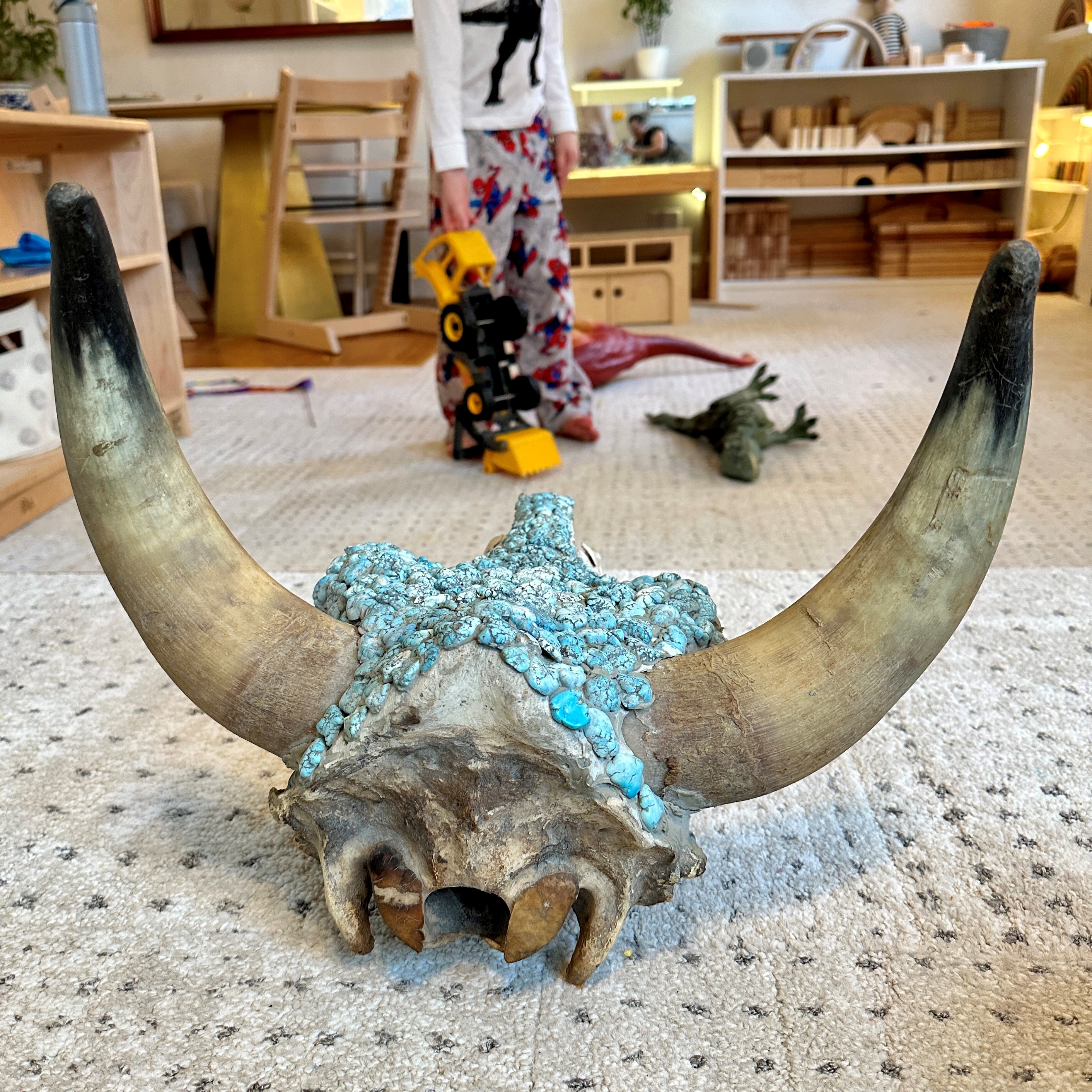 Bull Skull - Fossil ID - The Fossil Forum