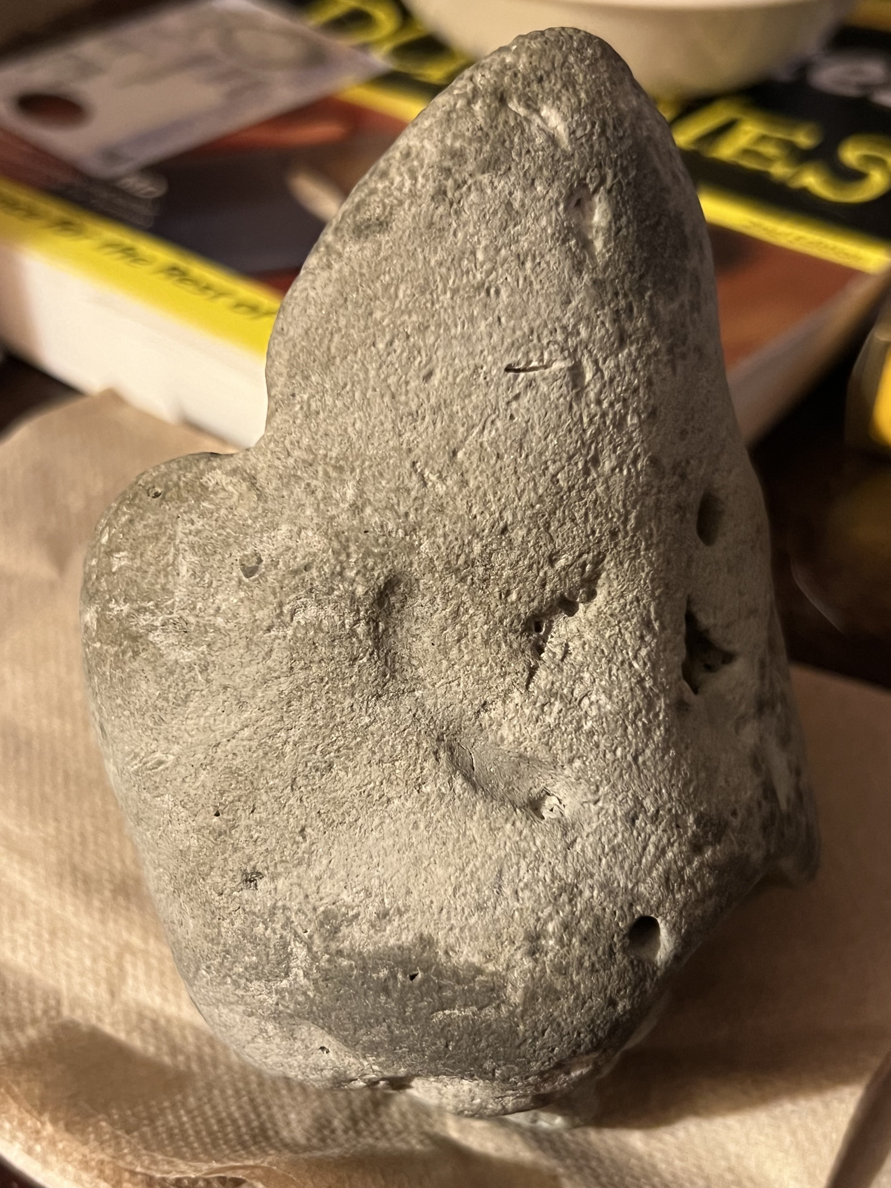 Fossil, pottery, or something else? - Fossil ID - The Fossil Forum