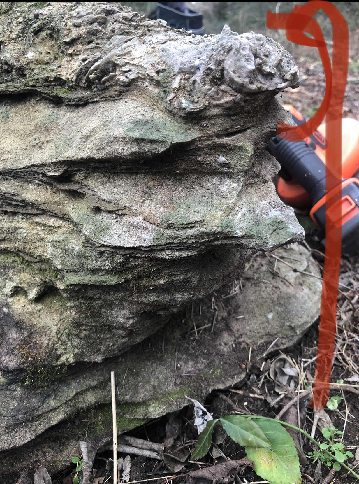 Are these structures Stromatolites? - Fossil ID - The Fossil Forum