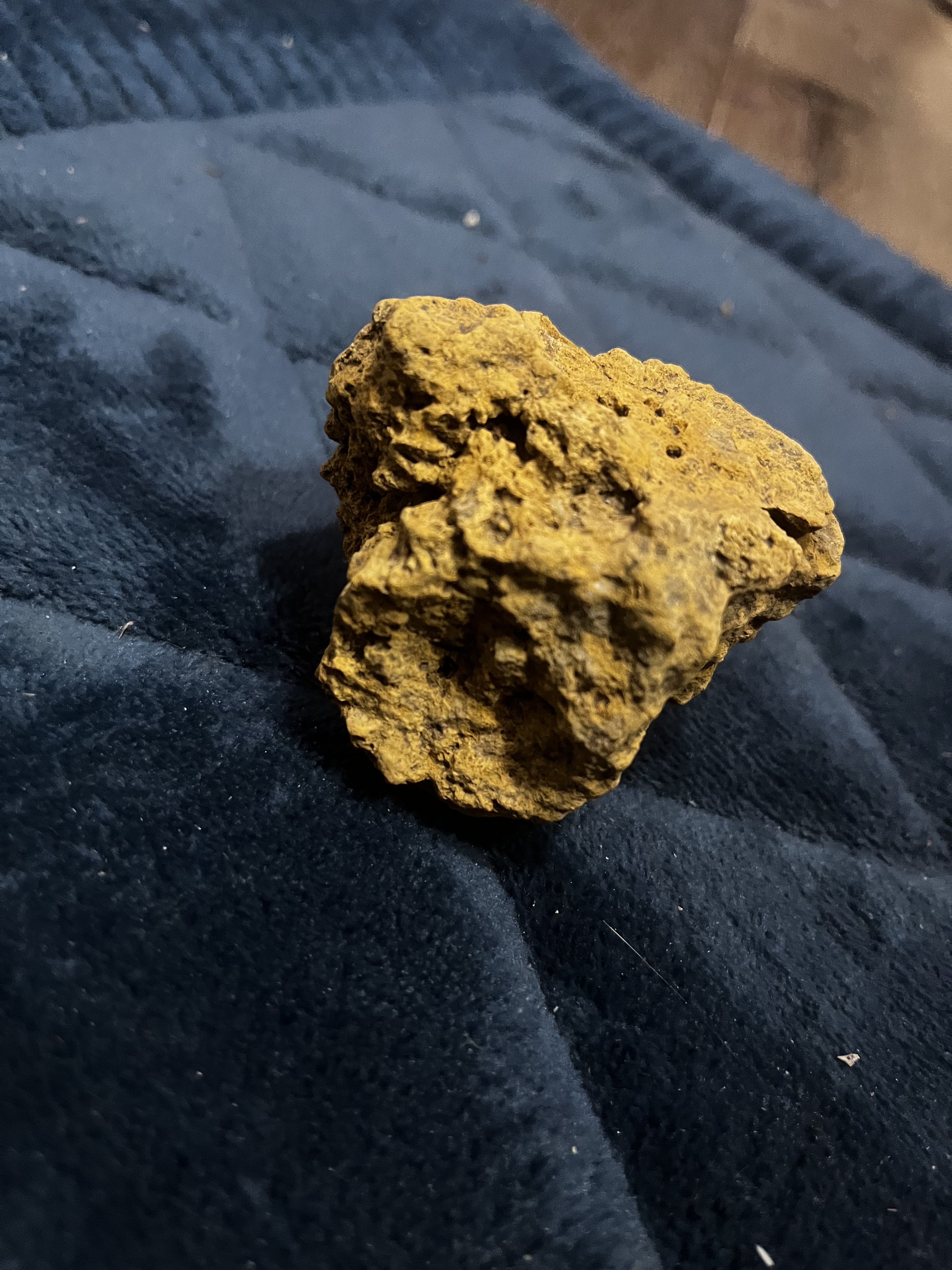 Meteor ? - Fossil ID - The Fossil Forum