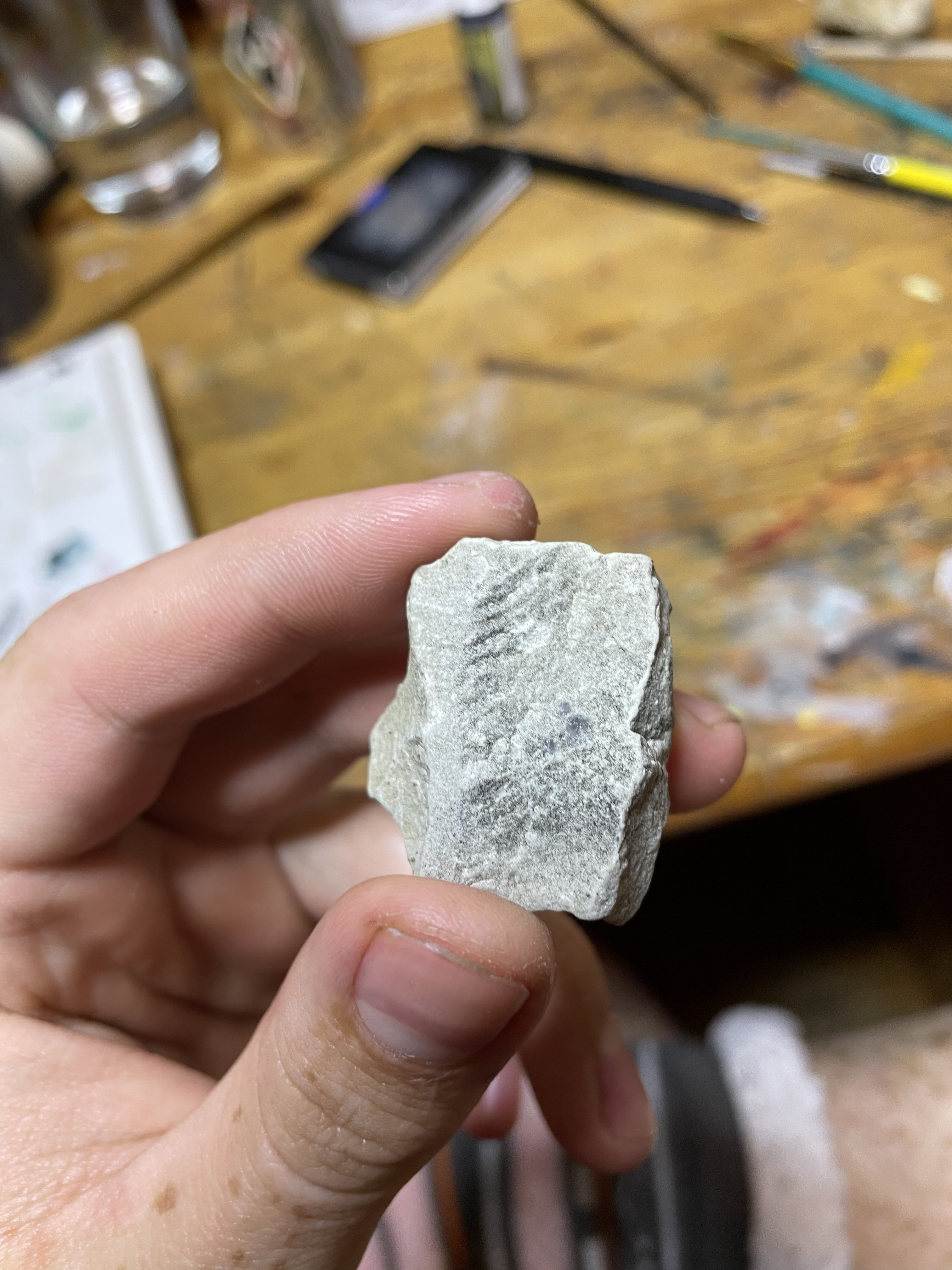 Conulariid or nothing? - Fossil ID - The Fossil Forum