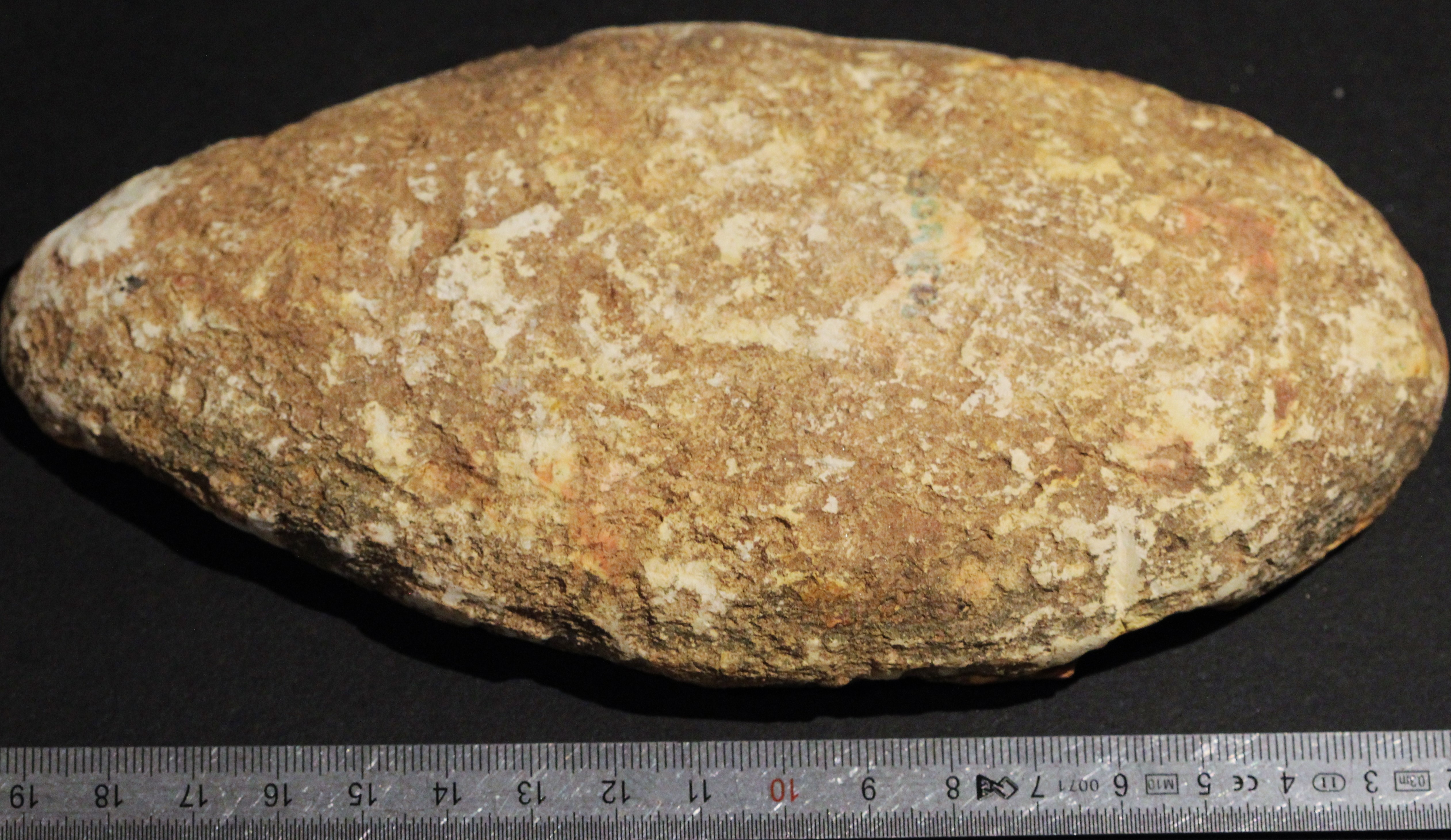 A fake fossil fish - Is It Real? How to Recognize Fossil Fabrications ...