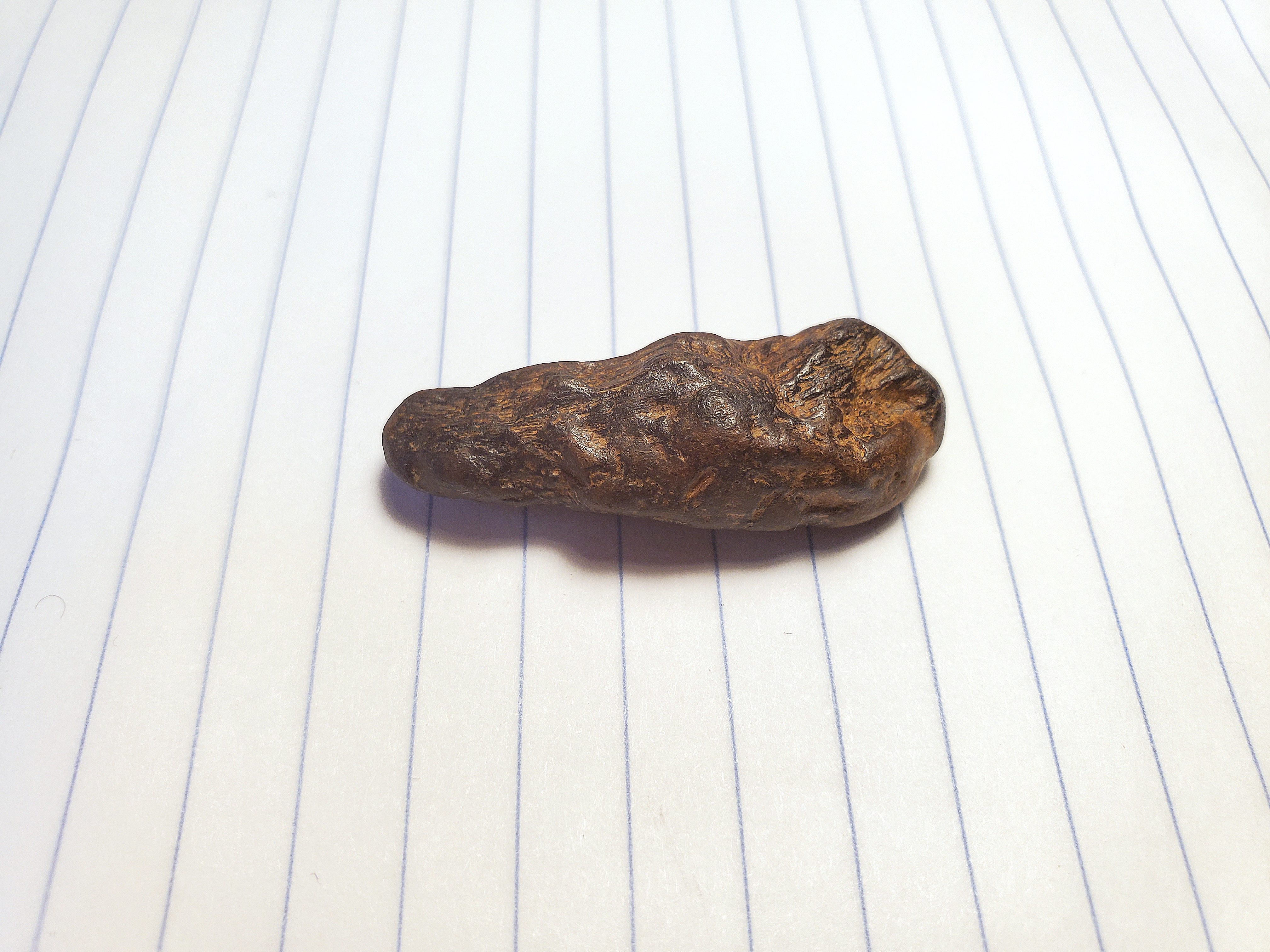 River worn tooth? - Fossil ID - The Fossil Forum
