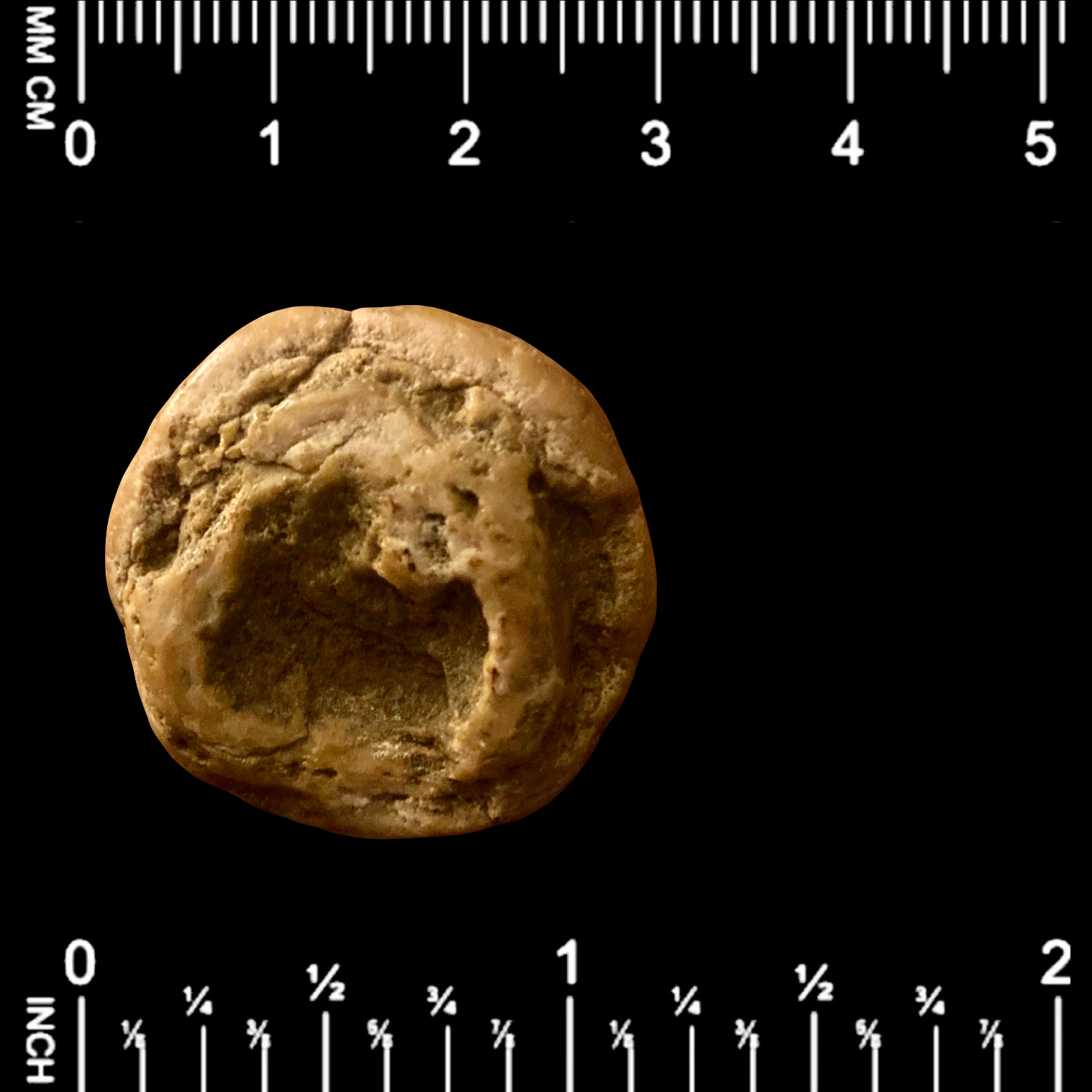 Fossilized crayfish gastrolith? ID help - Fossil ID - The Fossil Forum