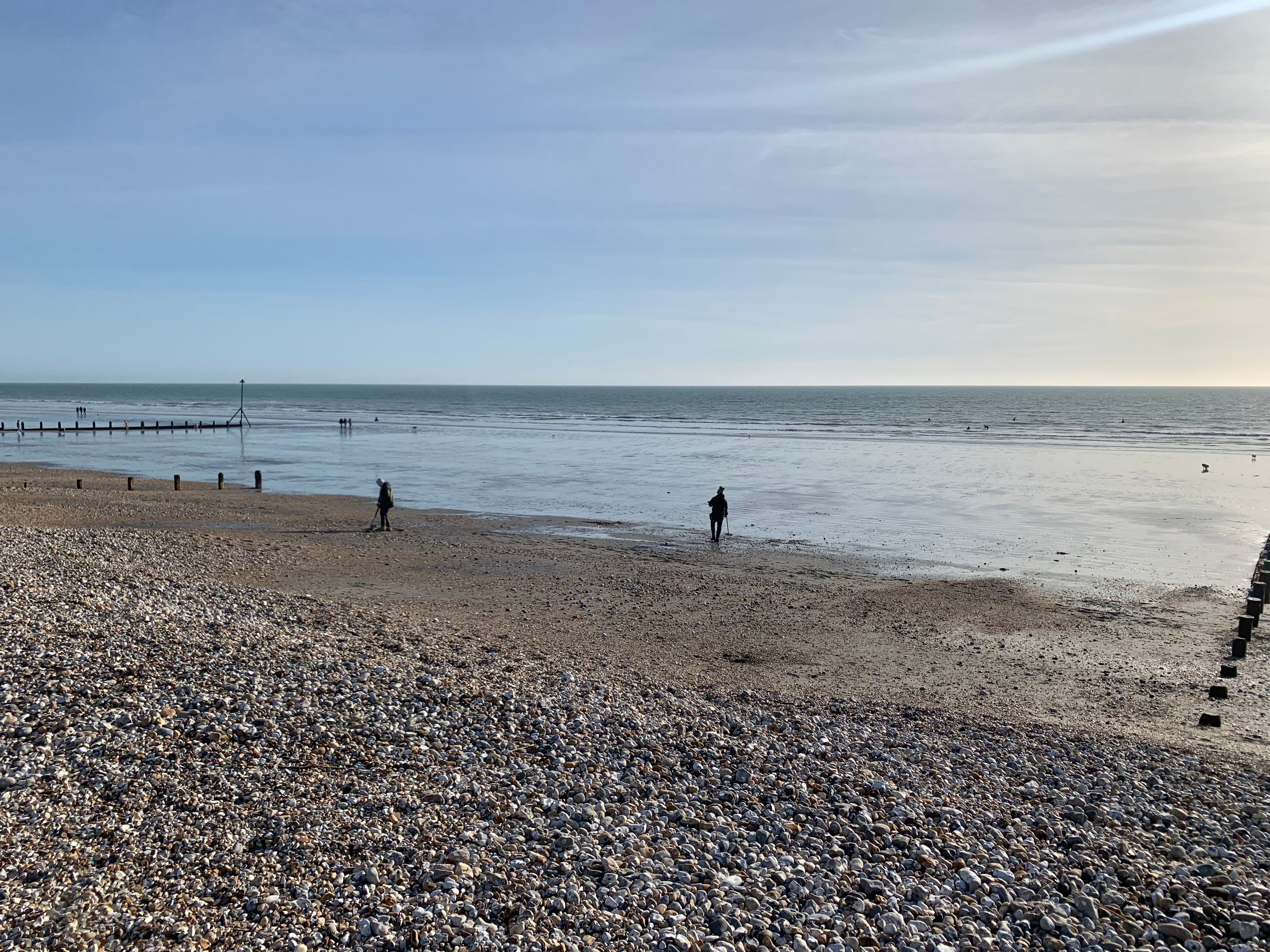 Bracklesham bay 19/2/23 - Fossil Hunting Trips - The Fossil Forum