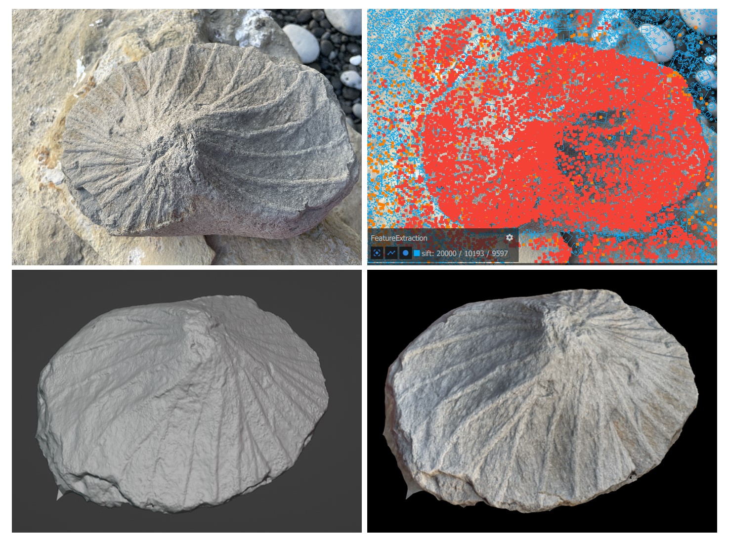 "Collecting" fossils using photogrammetry - General Fossil Discussion ...