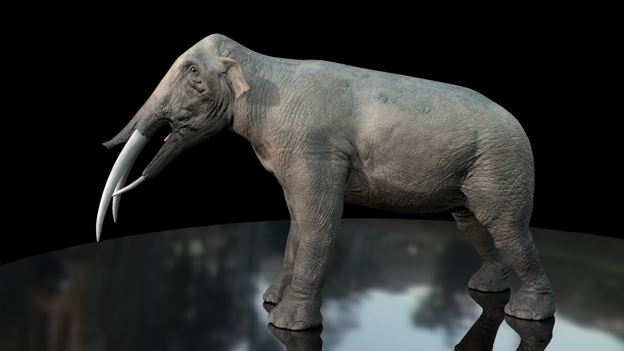 A reconstruction of the biotope of Sansan (Miocene, Gers, France ...