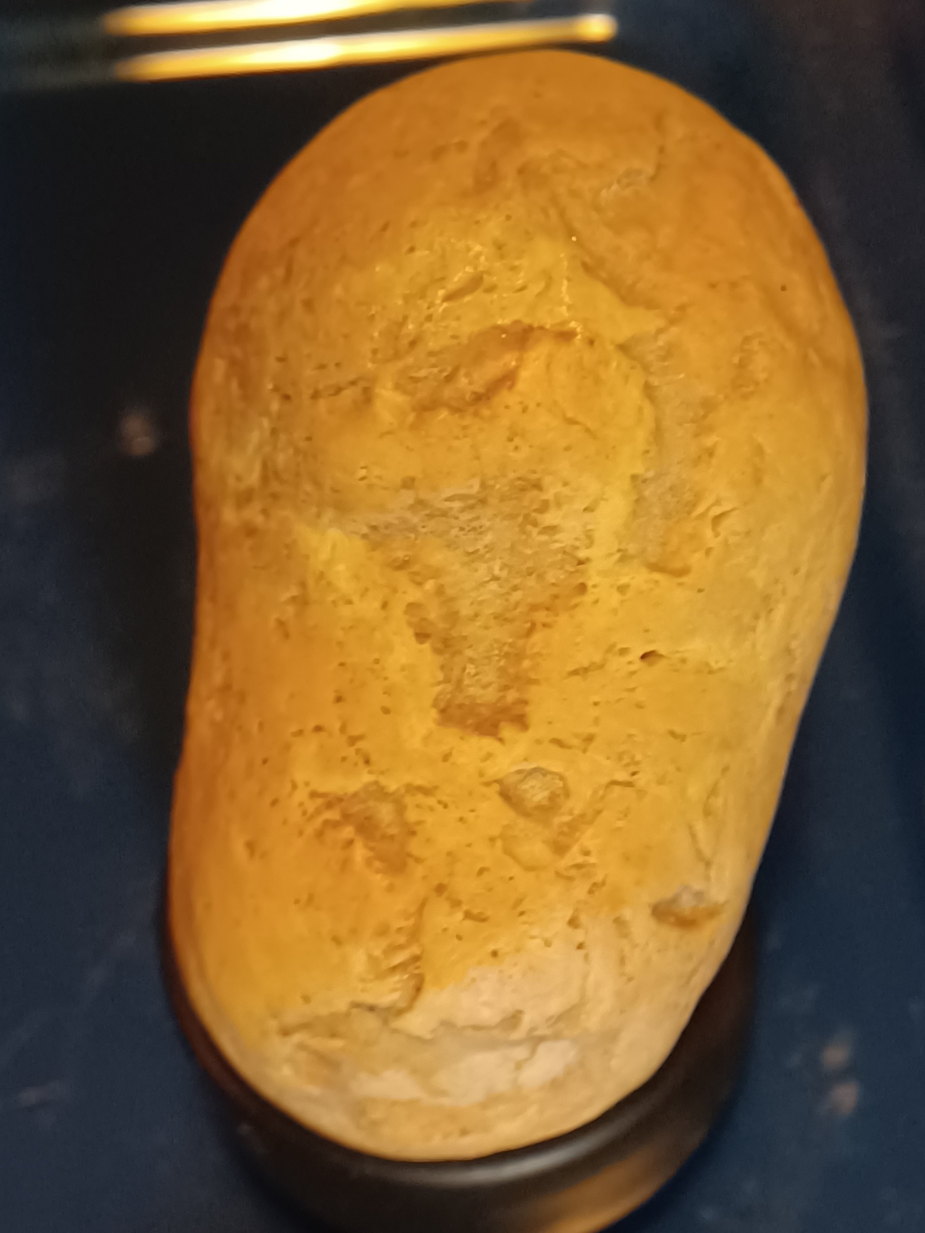 What type of egg? - Fossil ID - The Fossil Forum