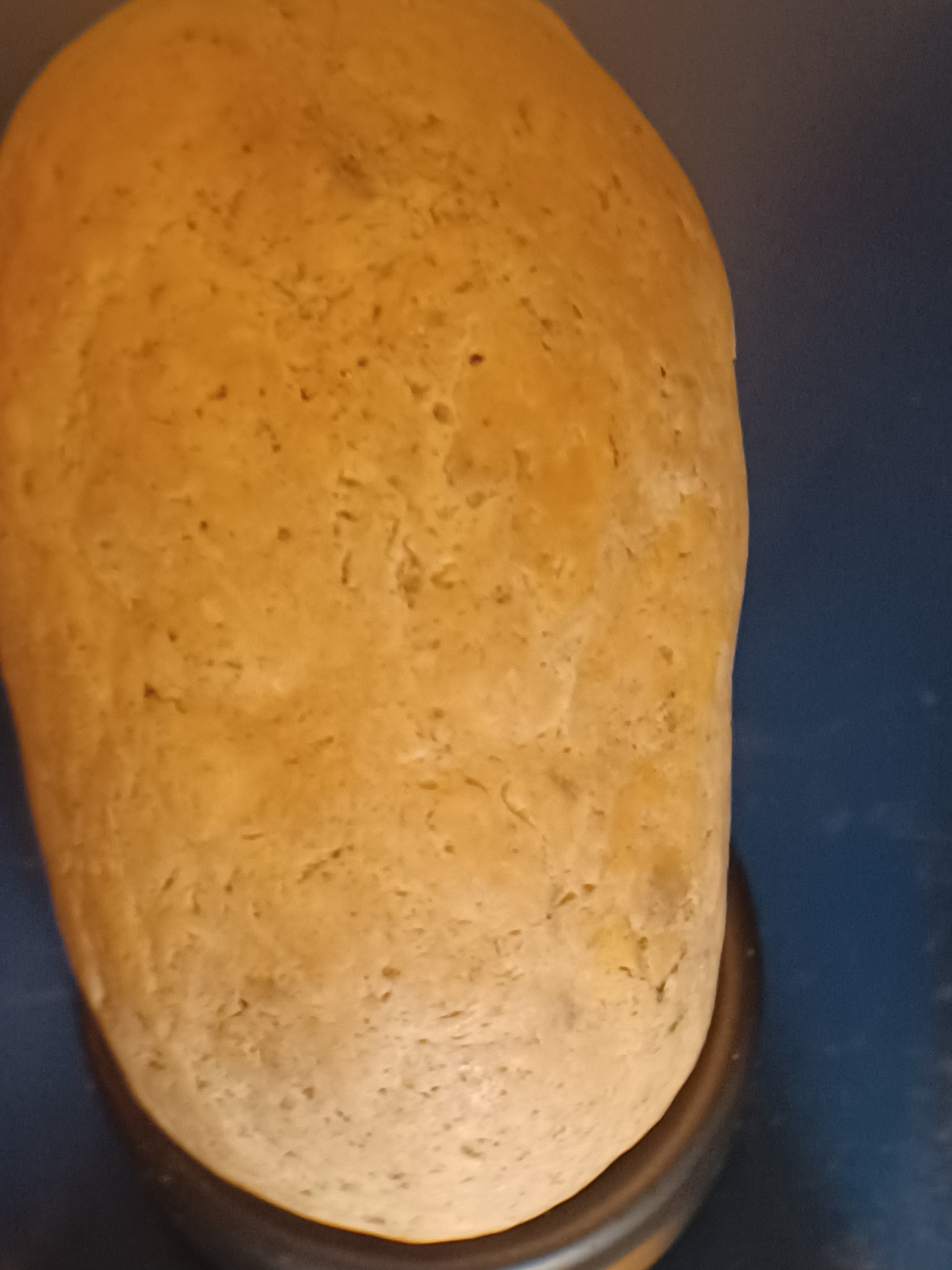 What type of egg? - Fossil ID - The Fossil Forum