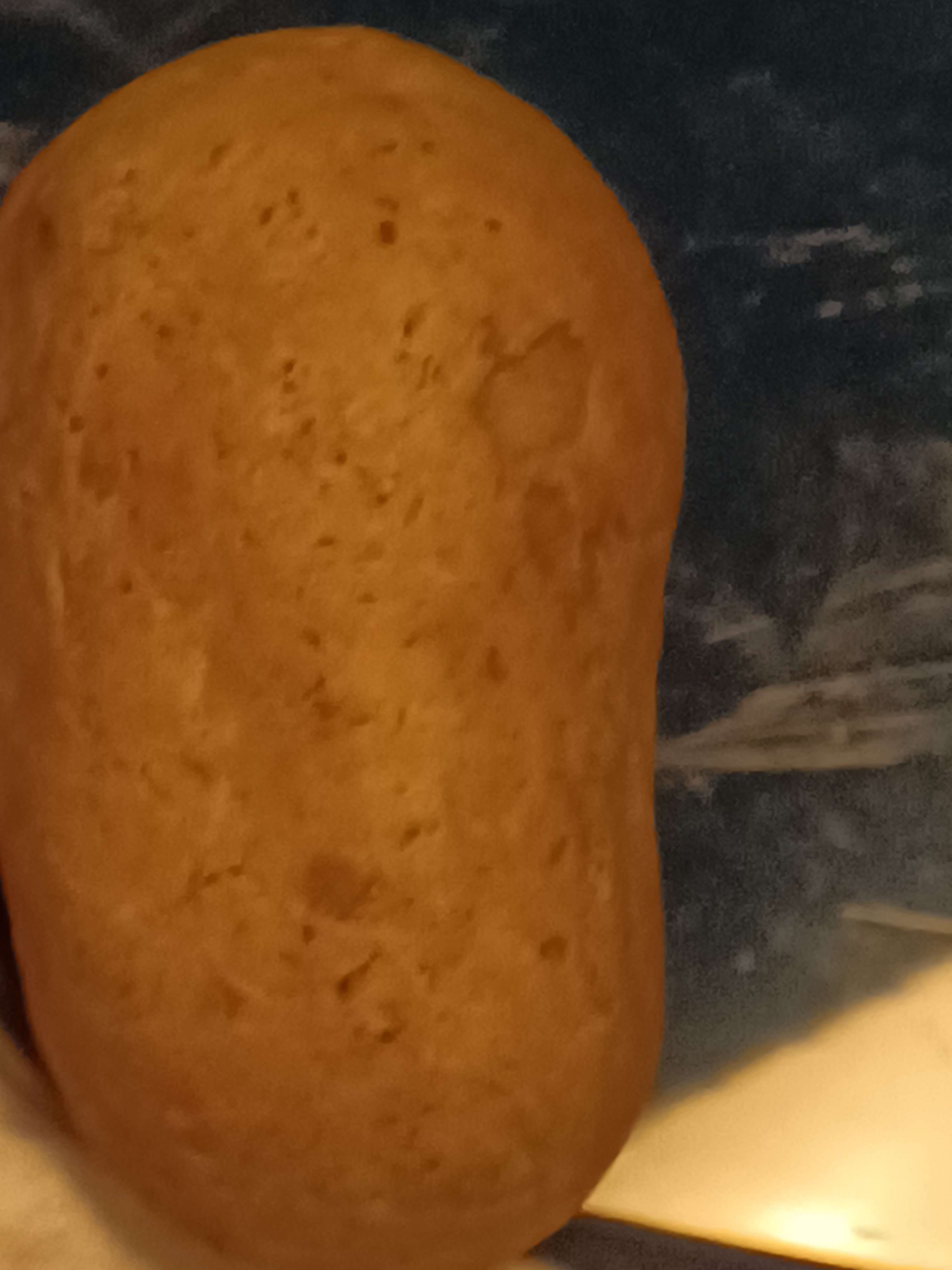 What type of egg? - Fossil ID - The Fossil Forum
