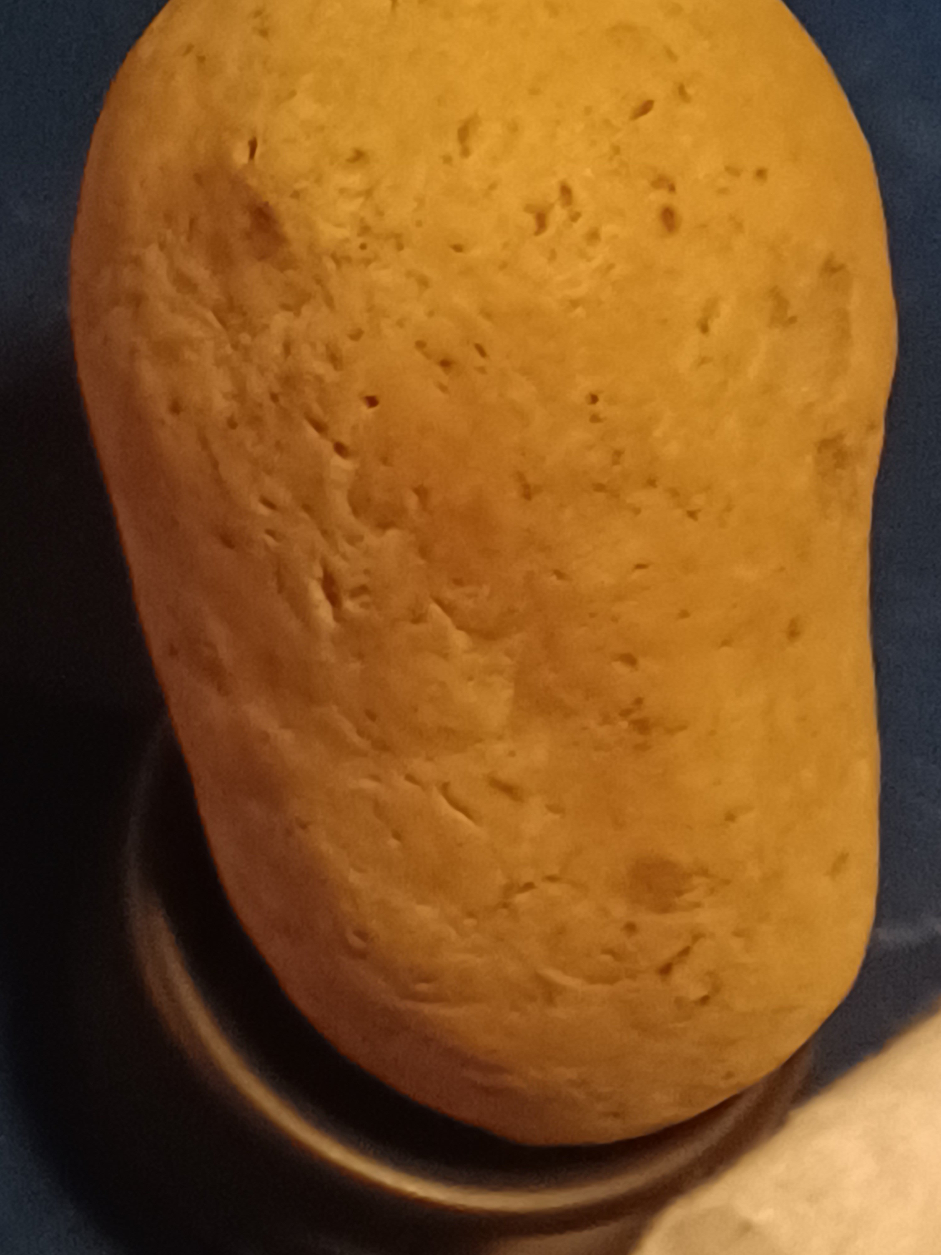 What type of egg? - Fossil ID - The Fossil Forum