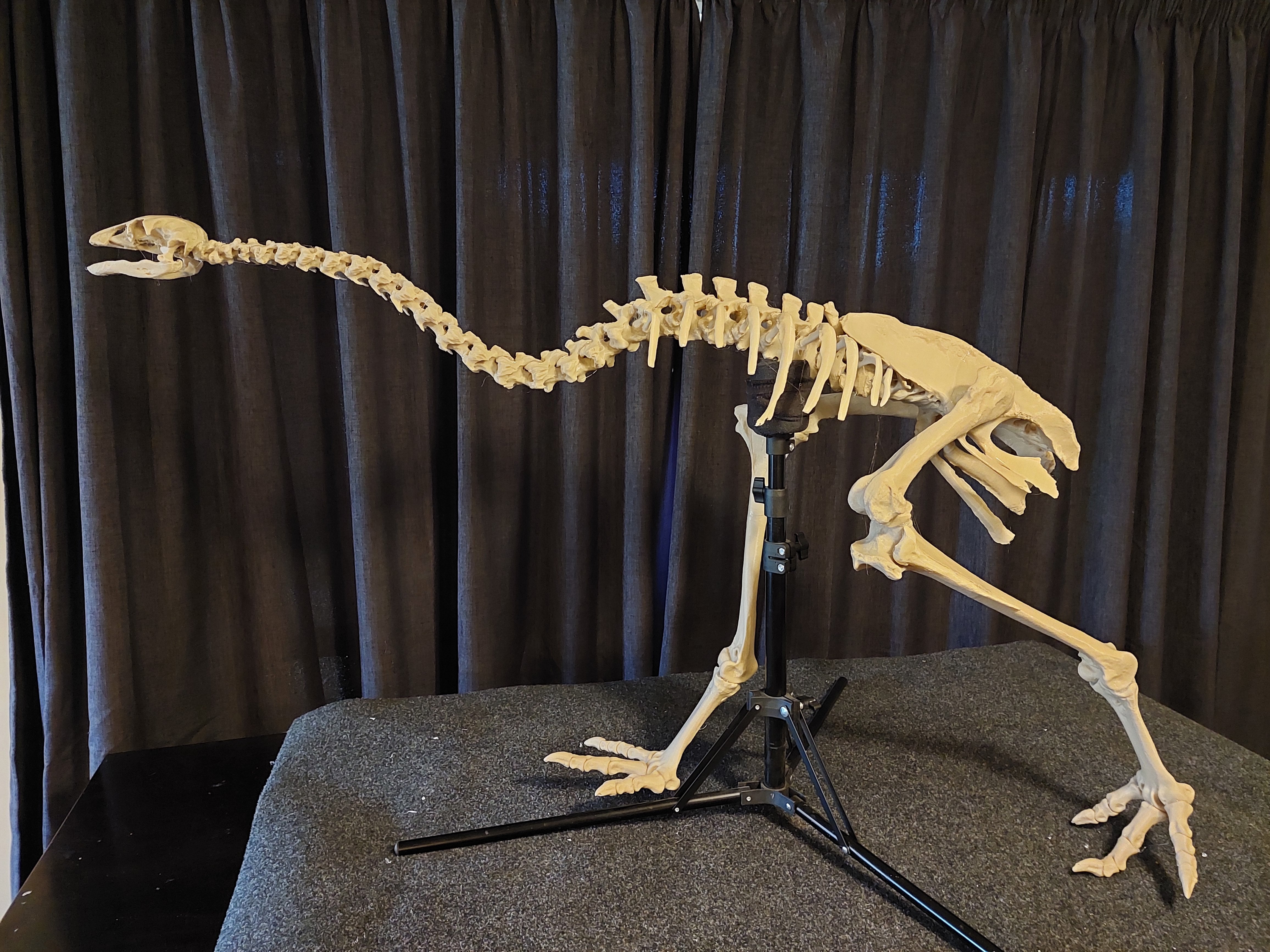 Photogrammetry, 3D scanning and 3D printing realistic fossils (also ...