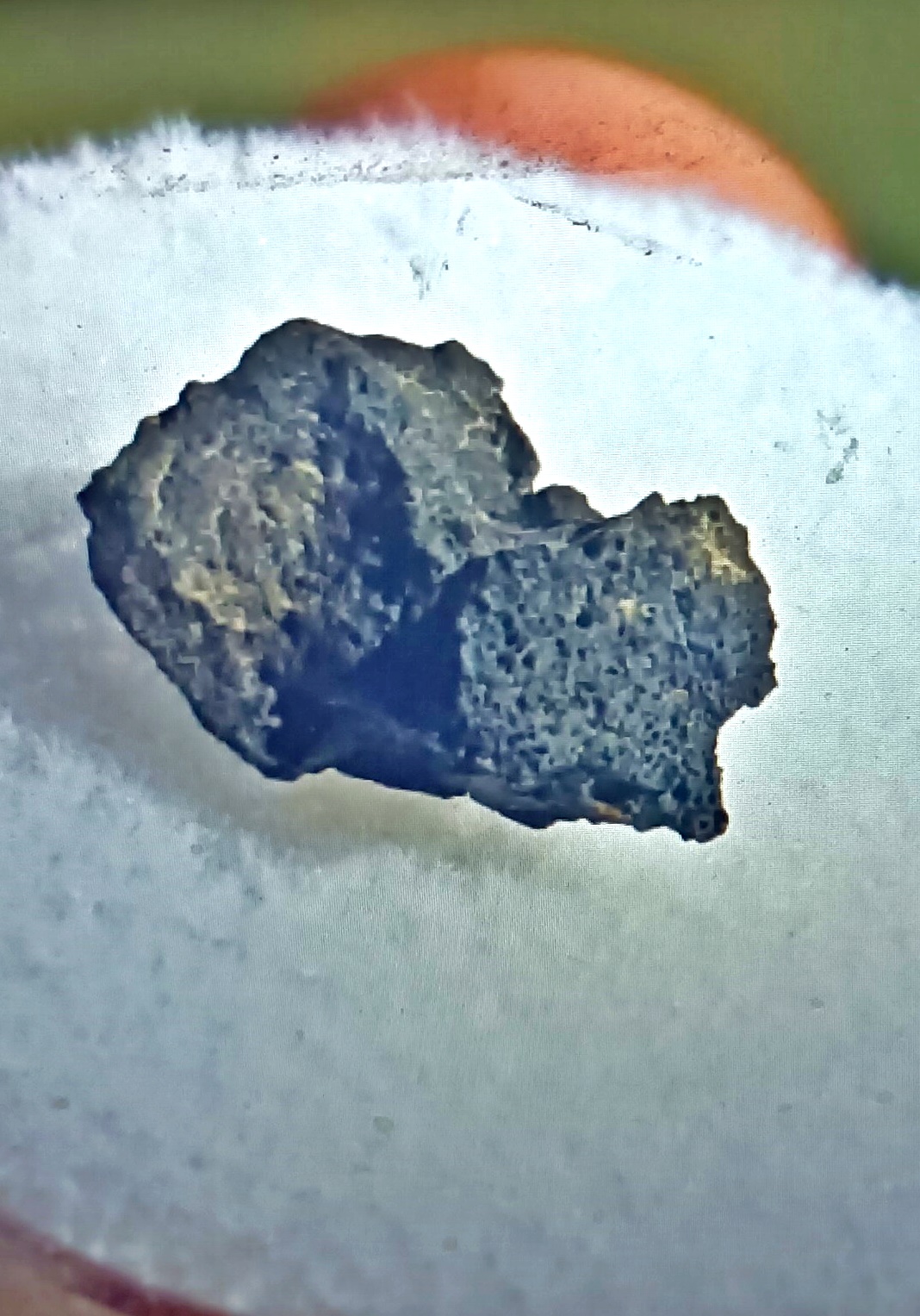 Identification of meteorite micromount - Rocks & Minerals - The Fossil ...