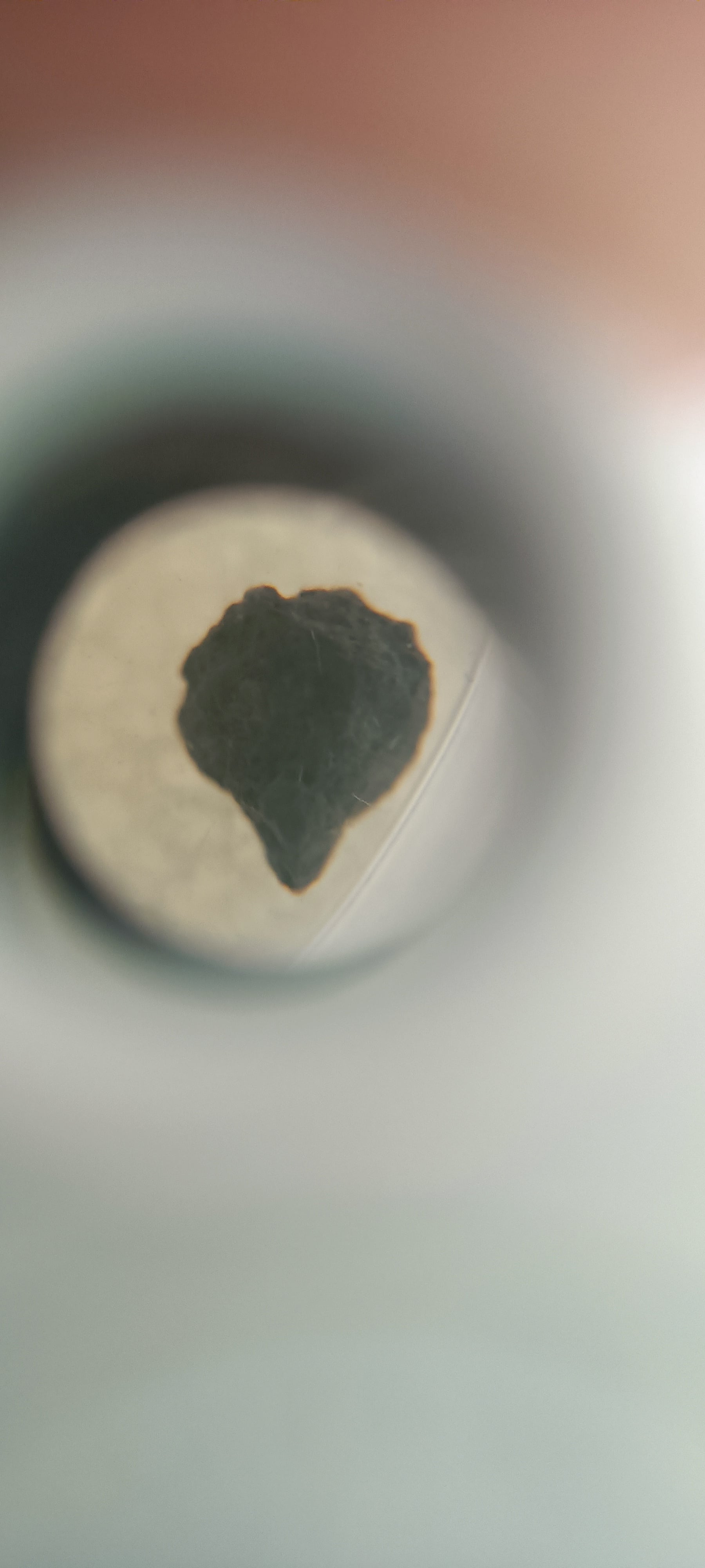 Identification of meteorite micromount - Rocks & Minerals - The Fossil ...