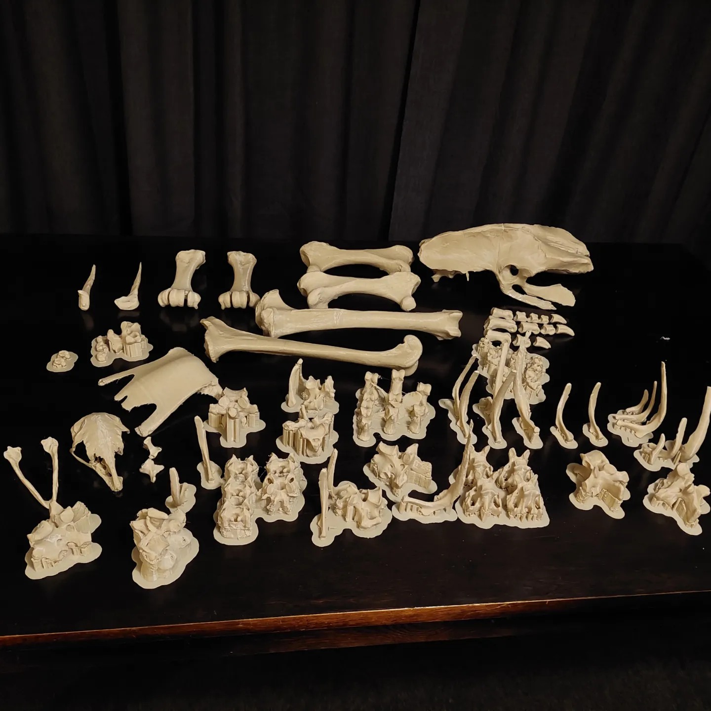 Photogrammetry, 3D scanning and 3D printing realistic fossils (also ...