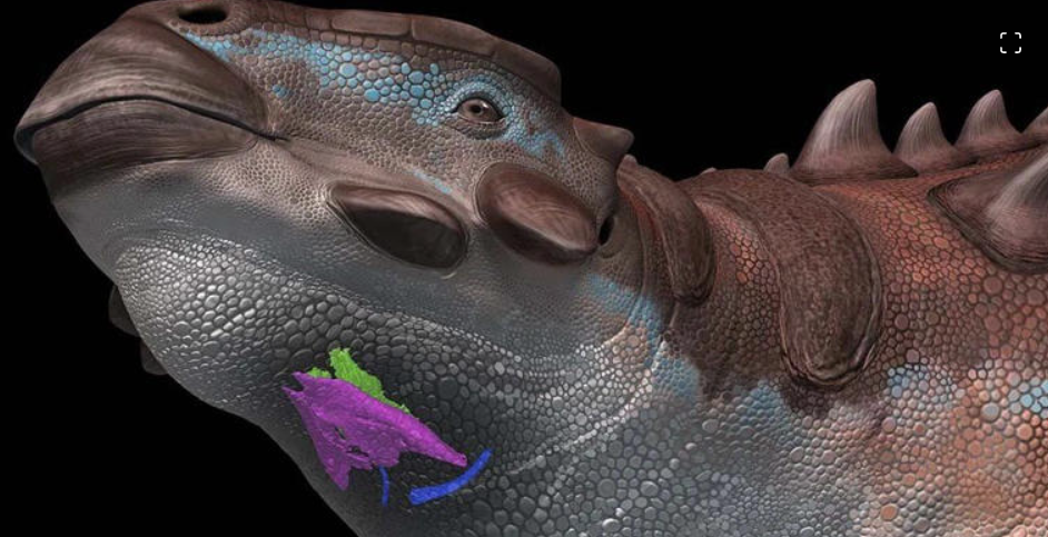 Dinosaur may have sounded more birdlike than experts previously thought ...