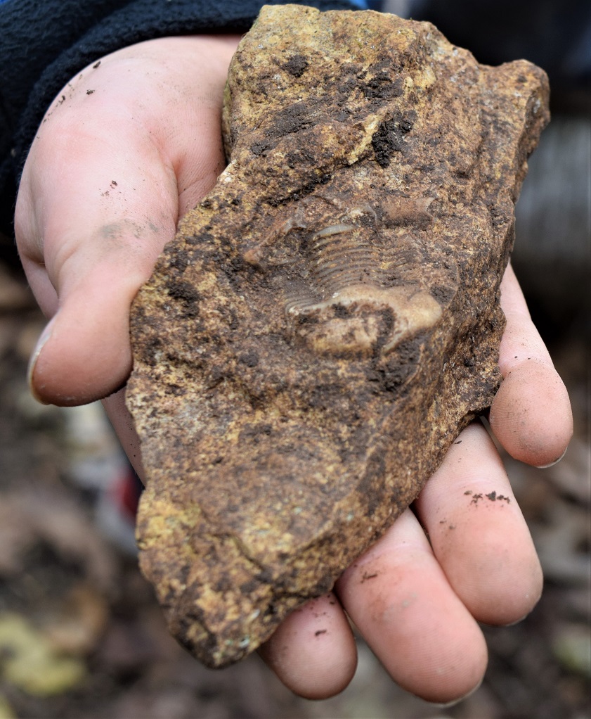 Rice and Goodhue Counties (SE MN) - The Journey Begins - Fossil Hunting ...
