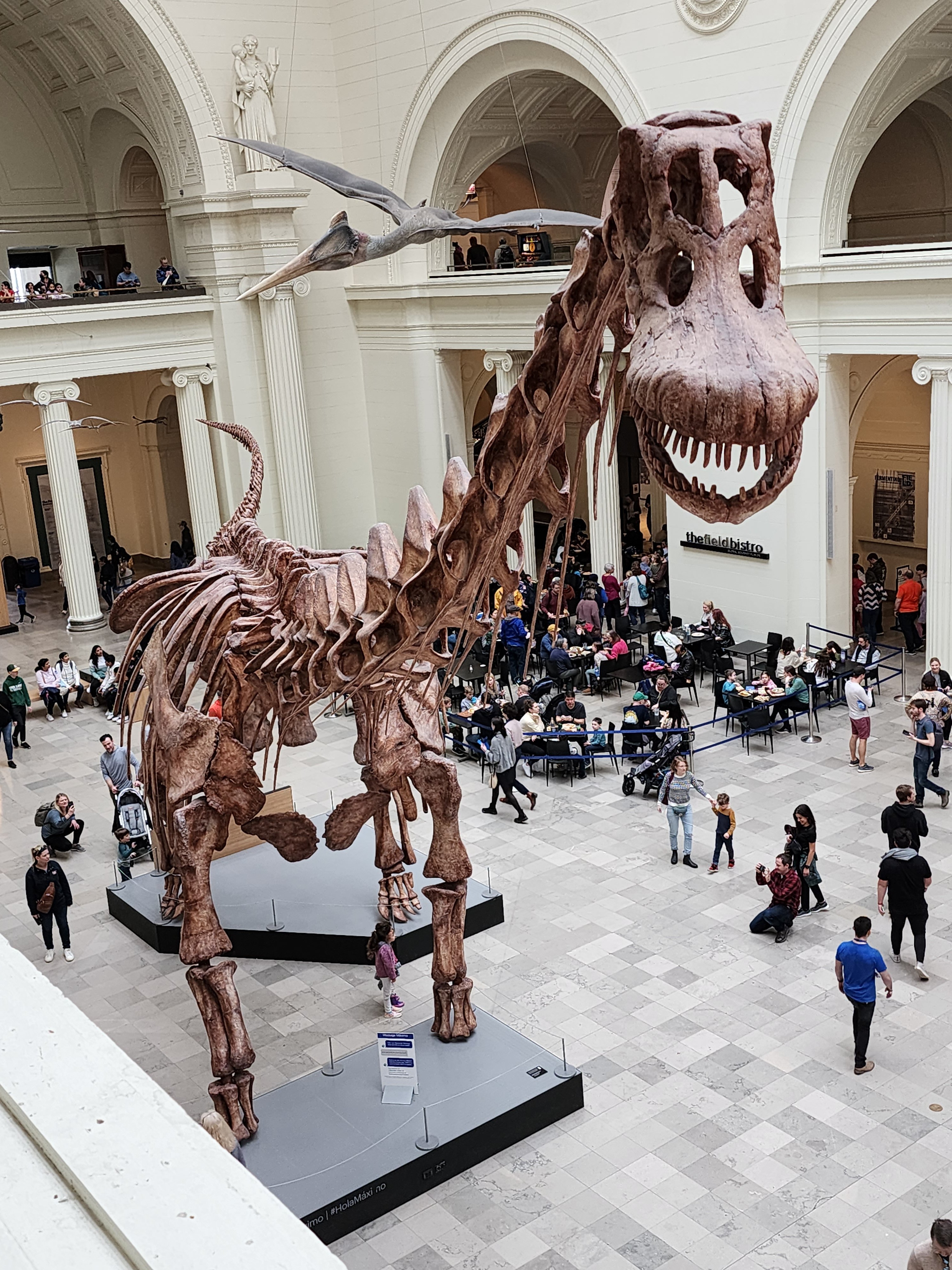 Trip to the Field Museum - A Trip to the Museum - The Fossil Forum