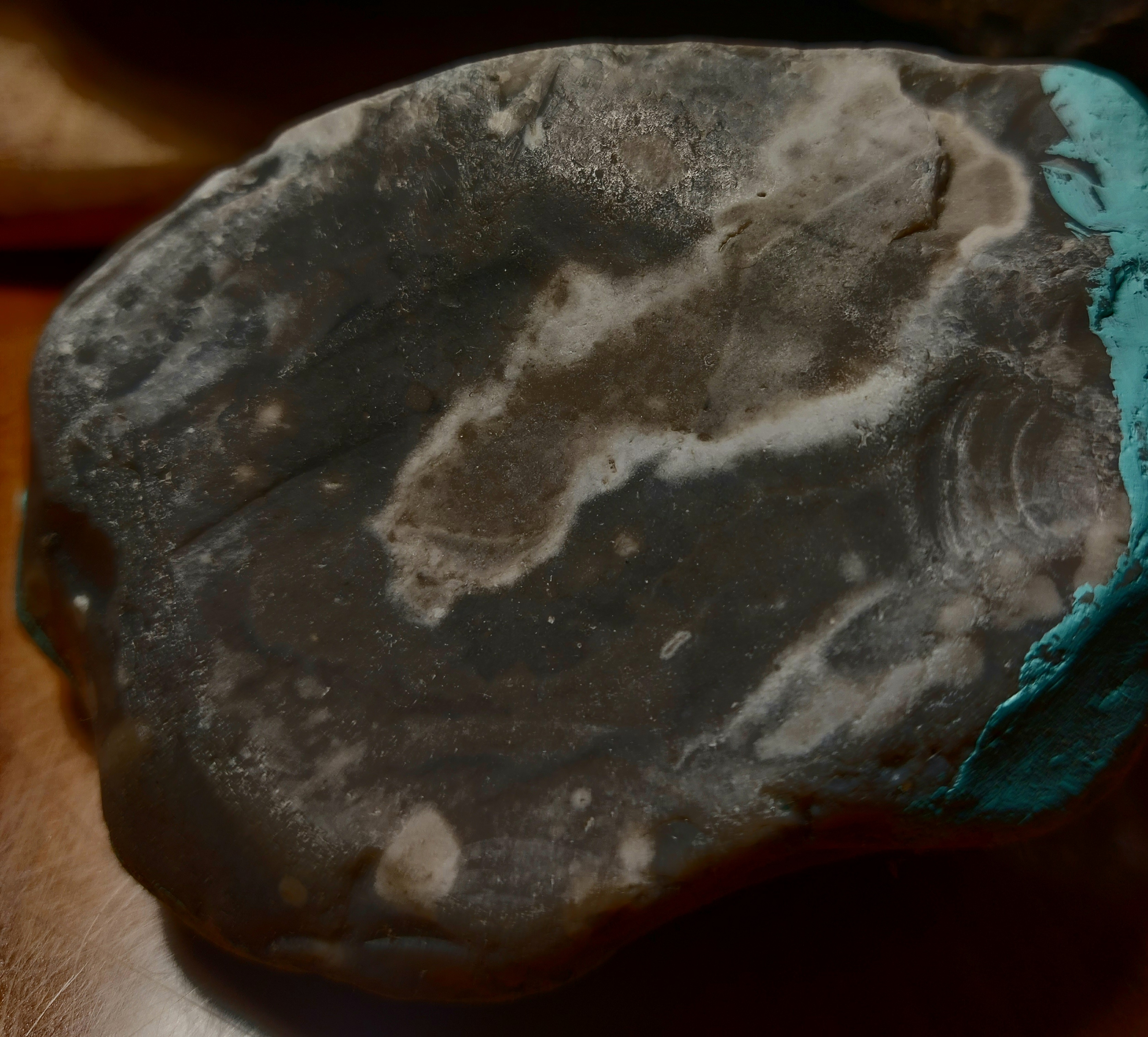 Chert fossils, inclusions - Fossil ID - The Fossil Forum