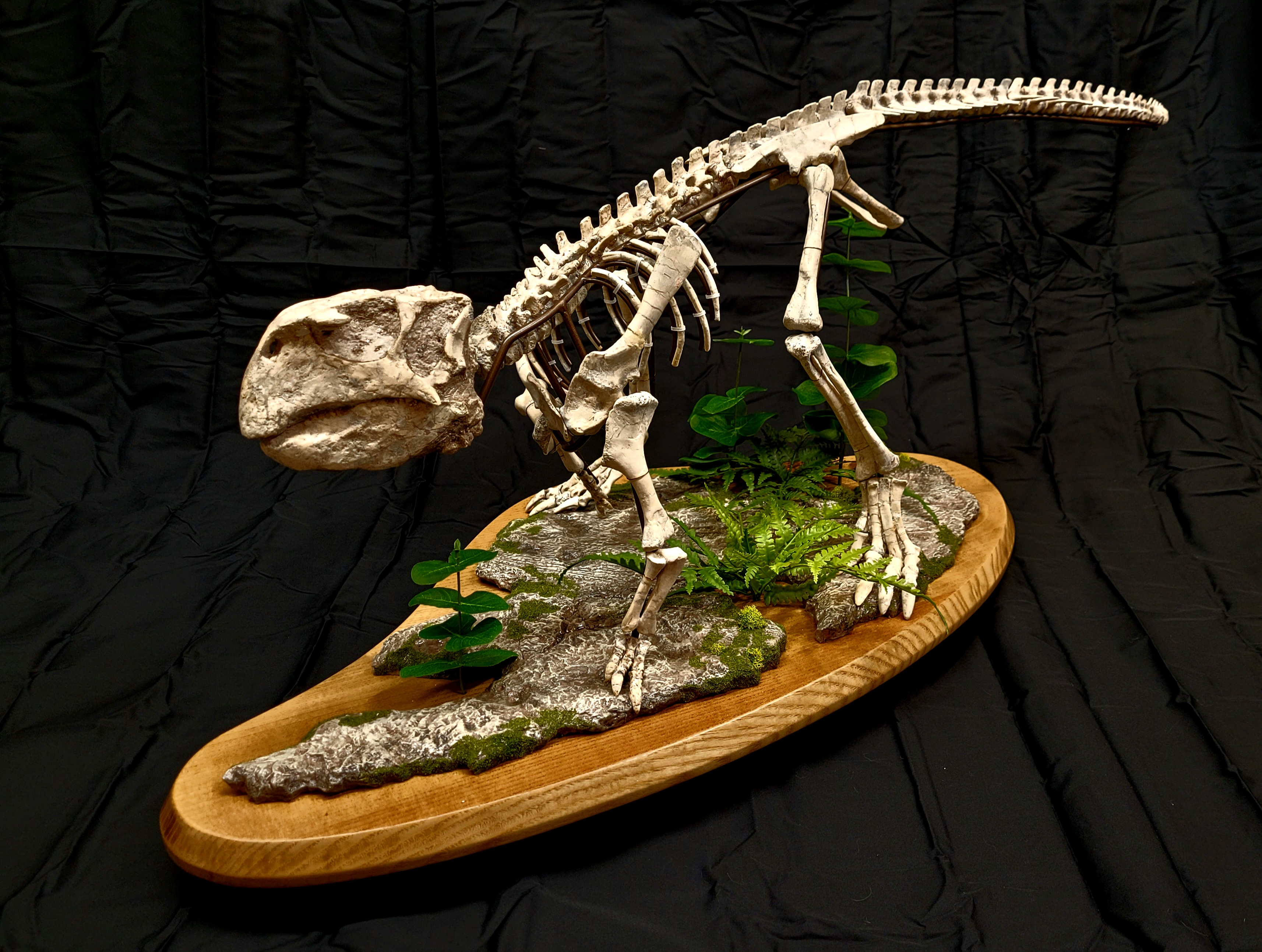 Psittacosaurus mount i just finished - Paleo Re-creations - The Fossil ...